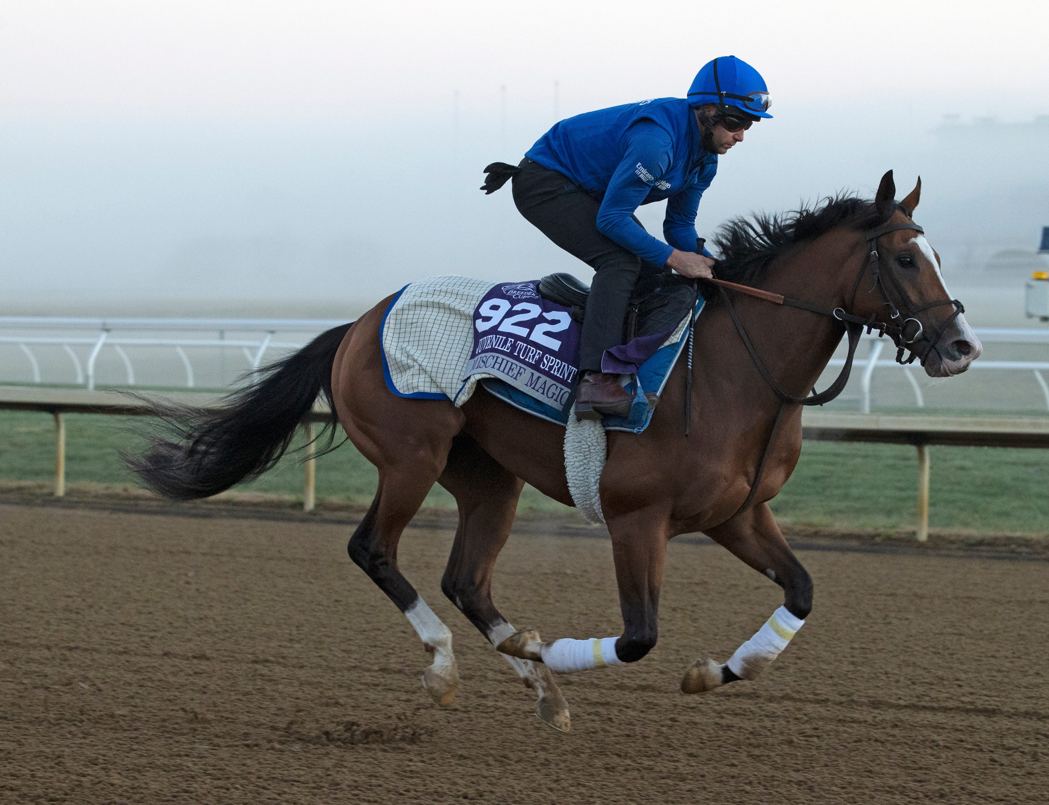 Appleby looks to stay hot with Mischief Magic in Twin Spires Turf Sprint