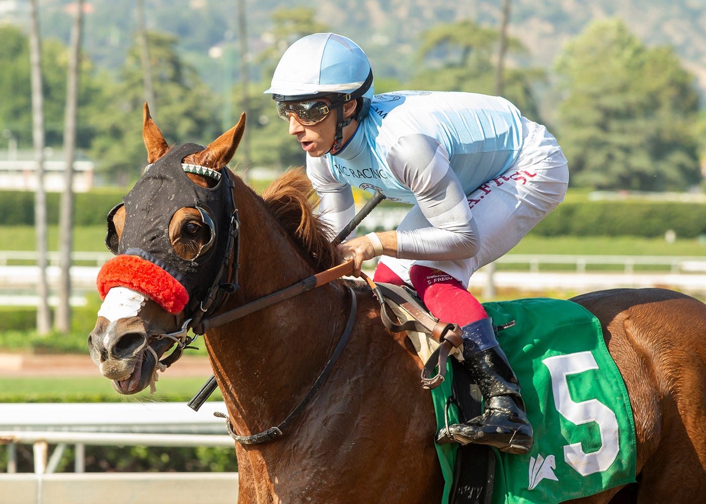 Miss Lizzy goes last to first in Mizdirection Stakes