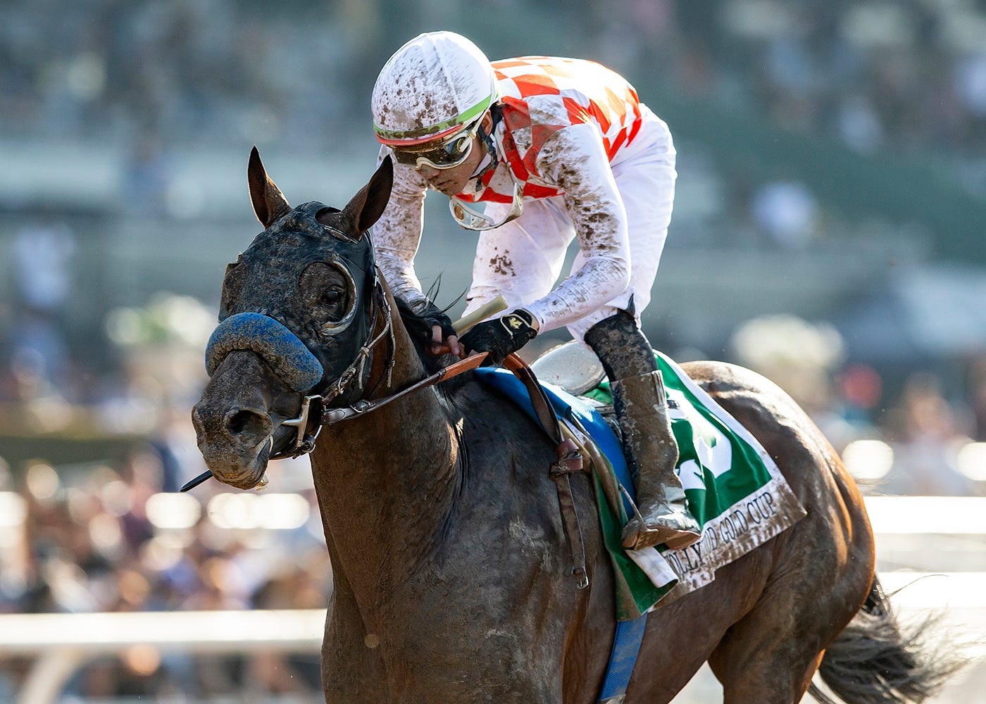 Gold Cup winner Mr Fisk has surgery for condylar fracture