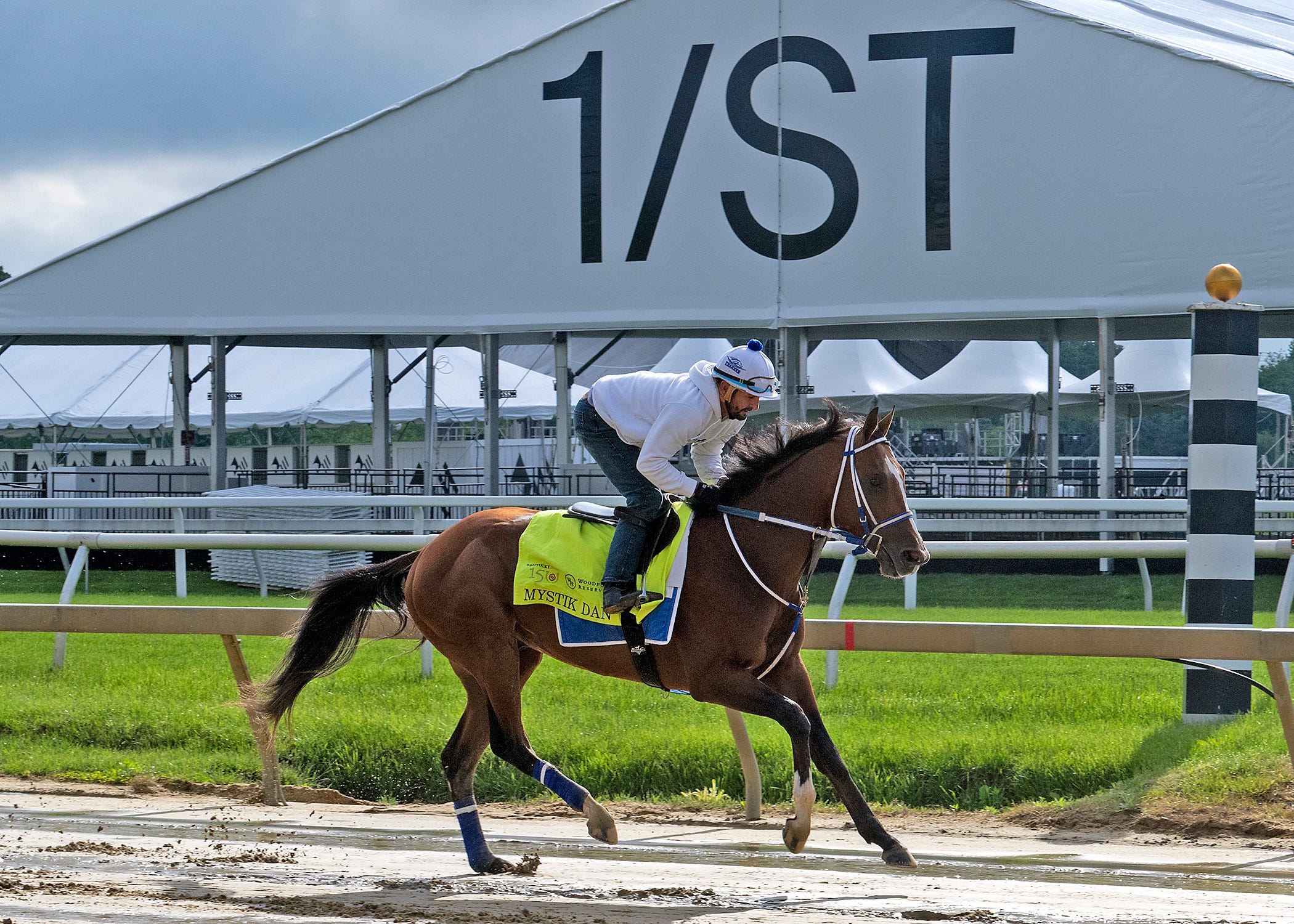 Kentucky Derby winner Mystik Dan will face eight in Preakness