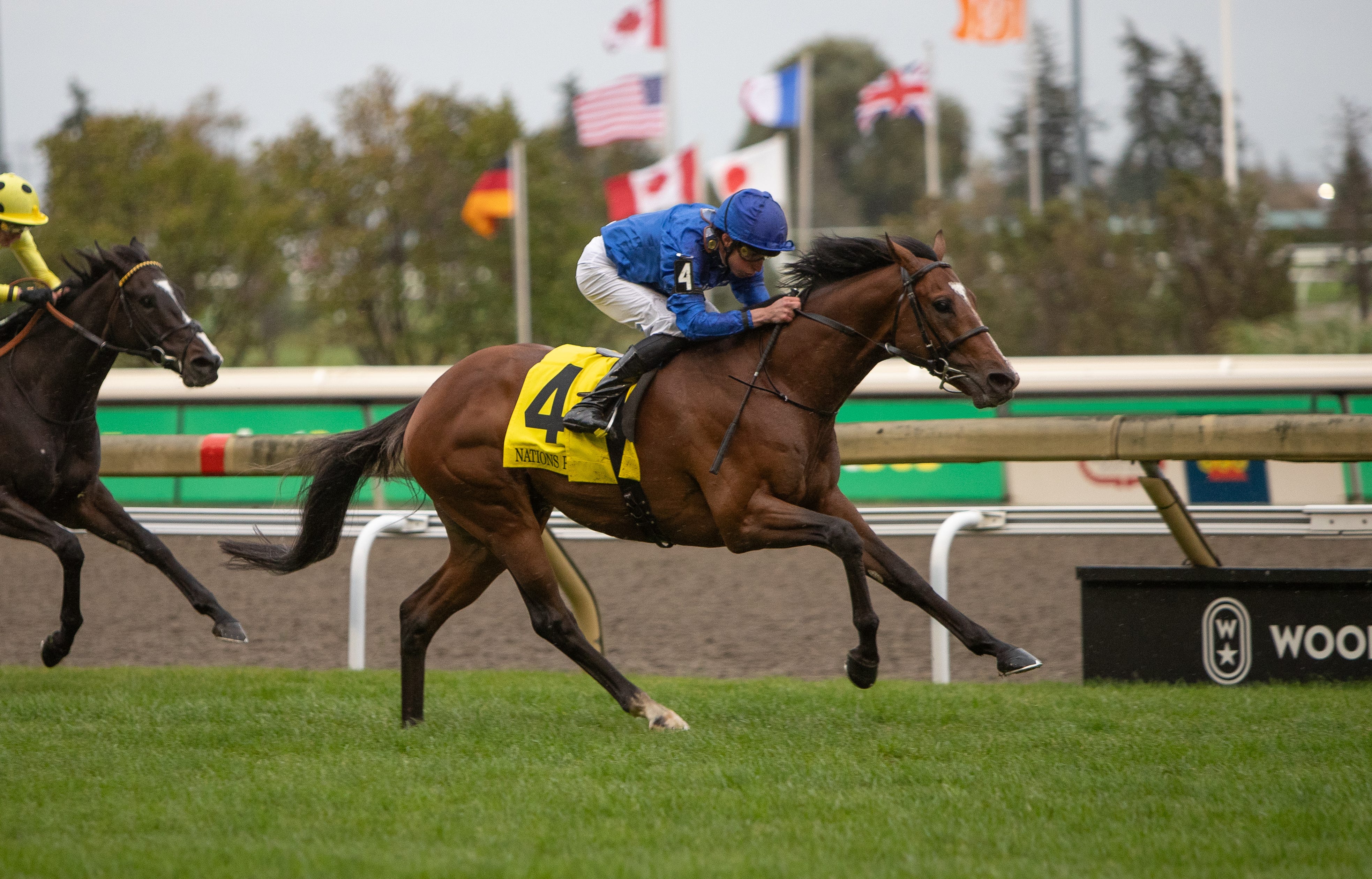 Nations Pride, Silver Knott give Appleby a strong pair in Man o' War