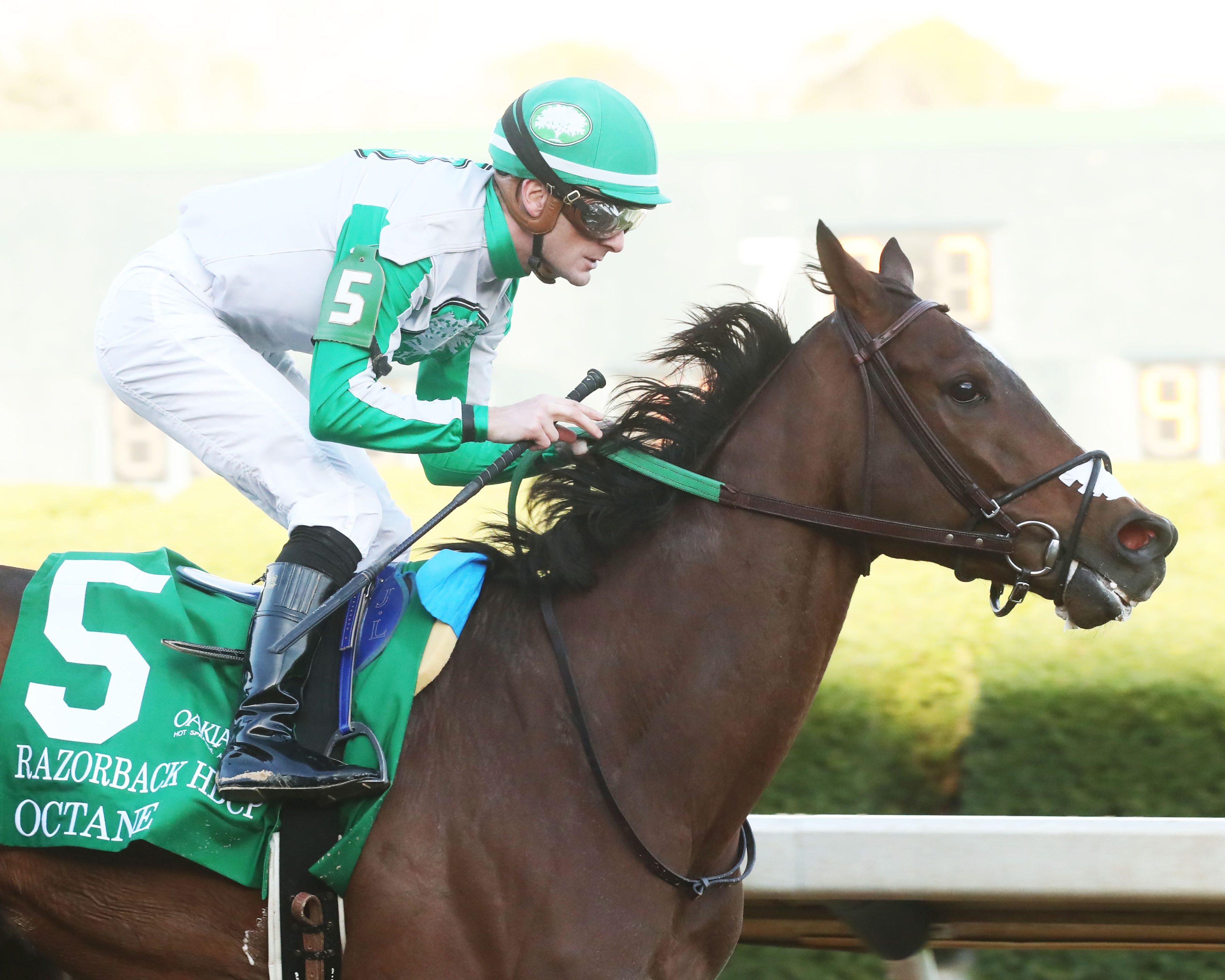 Octane back at more comfortable distance