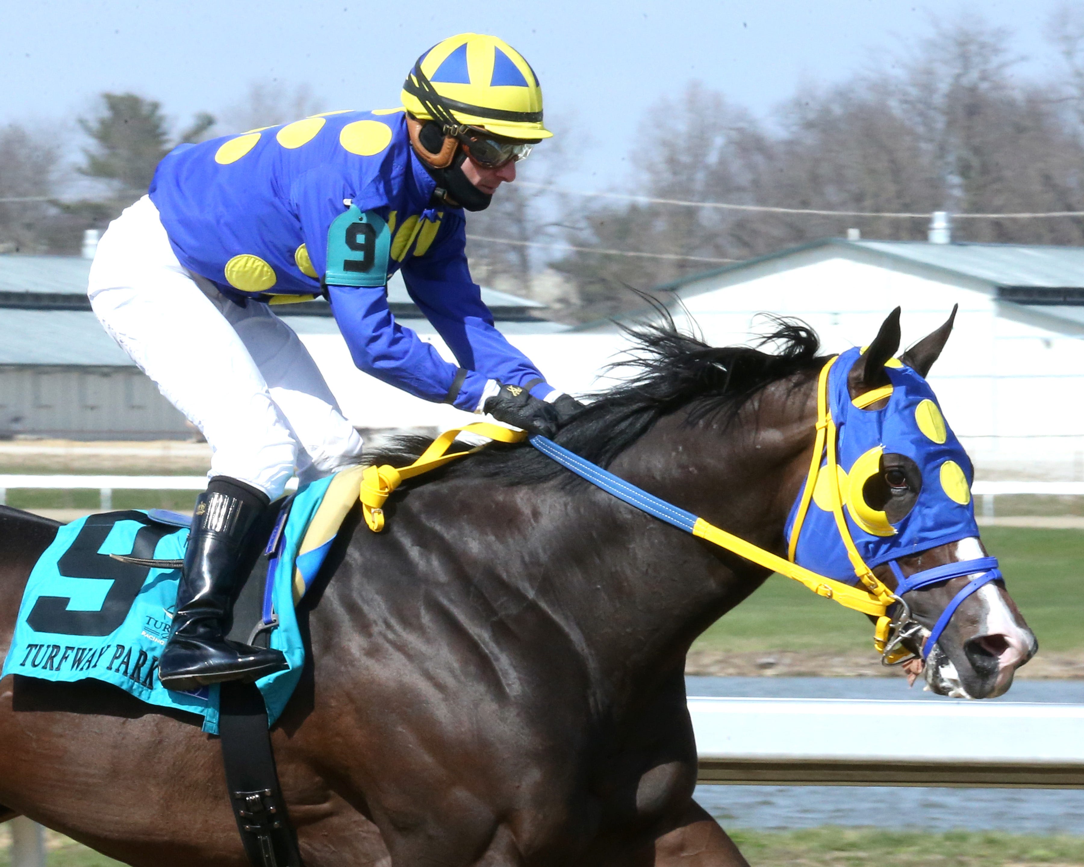 Fast but controllable Okiro back on turf for Roar Stakes