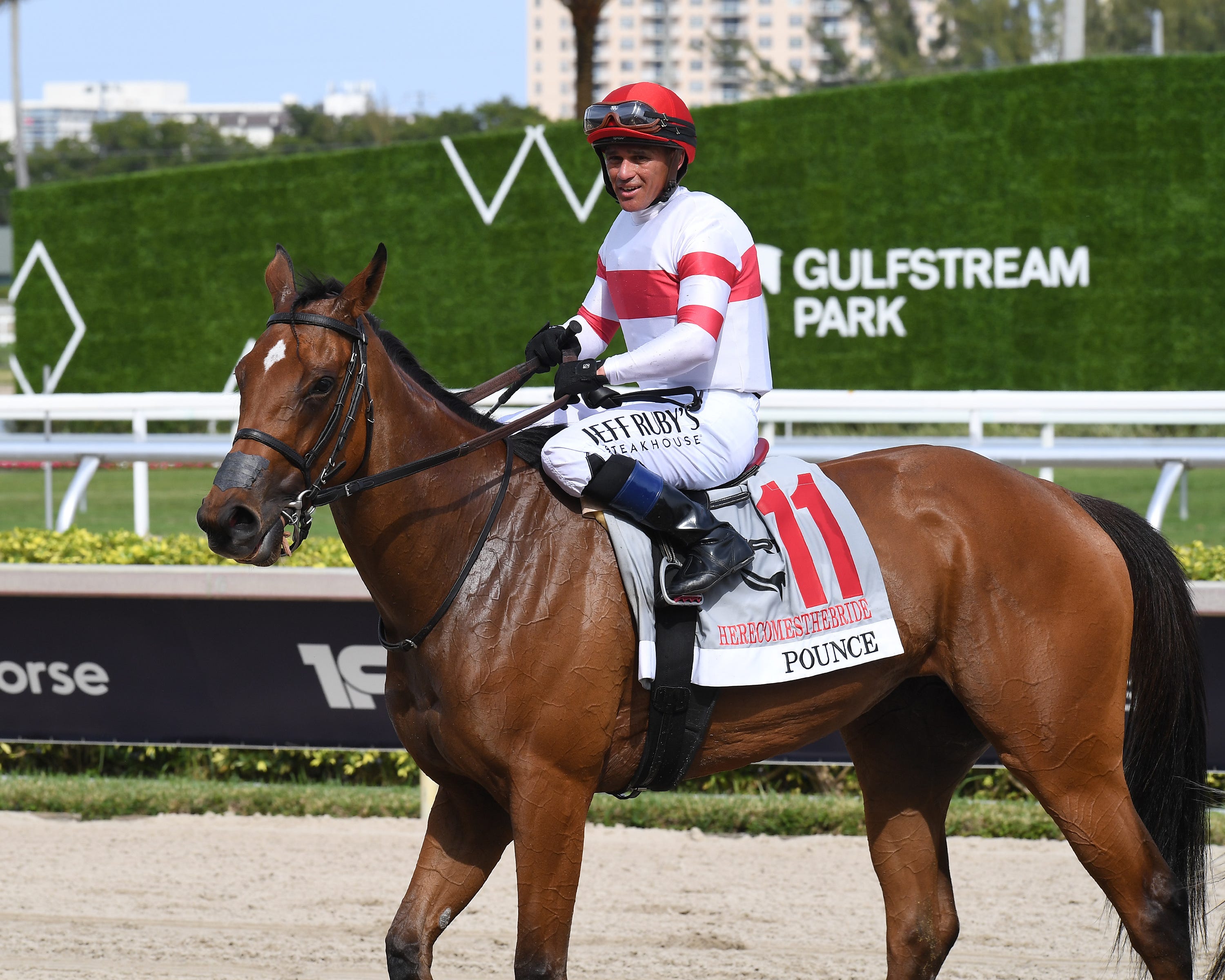 Pounce tries to rebound against tough field in Penn Oaks