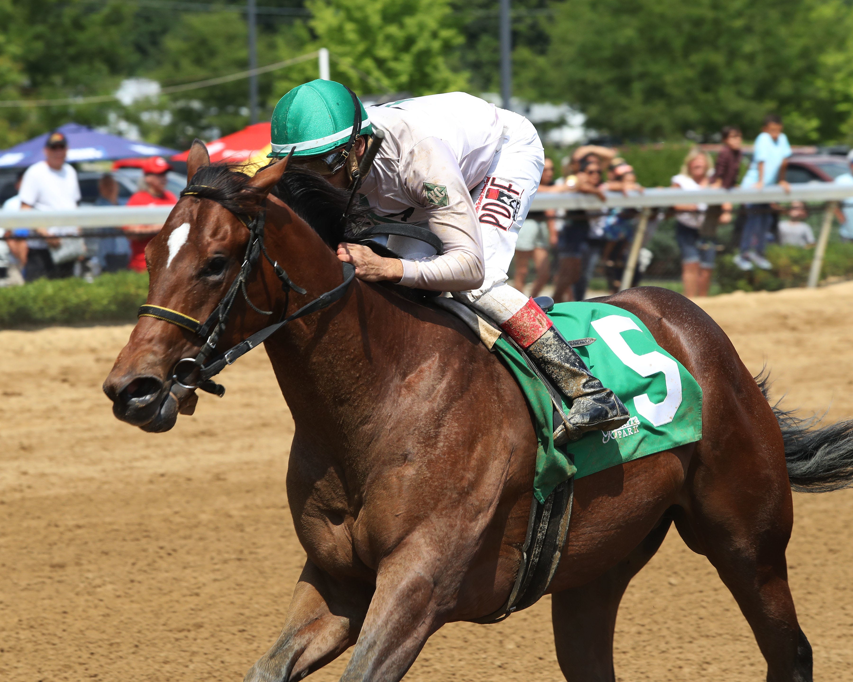 Foster hoping to continue success with Alwaysintomischief in Tall Stack
