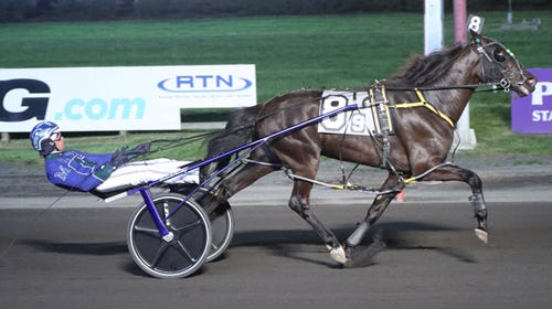 Meadowlands: McCarthy brothers sweep NJSS races, hit grand slams