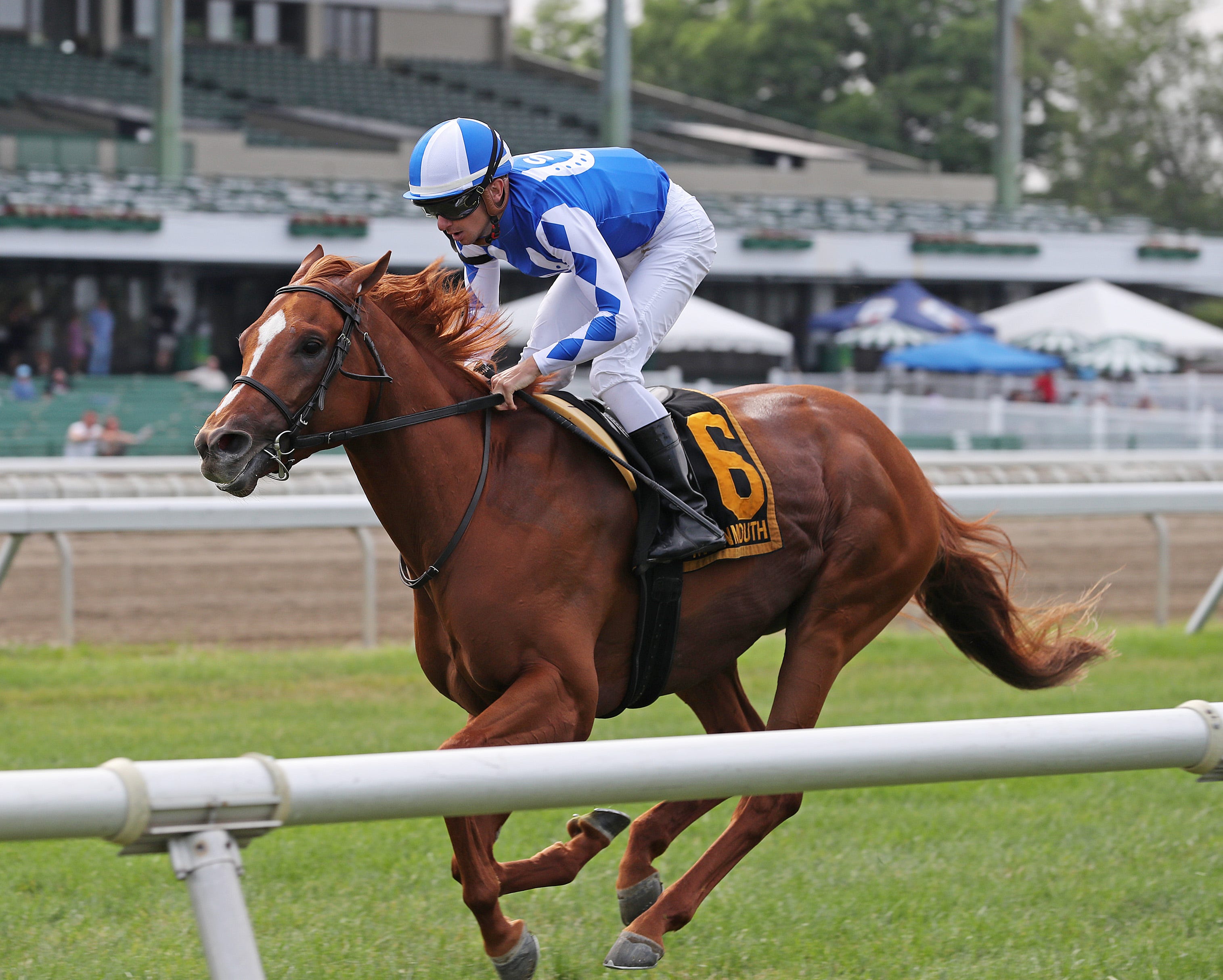 Carson's Run makes bid for graded stakes with Tale of the Cat victory