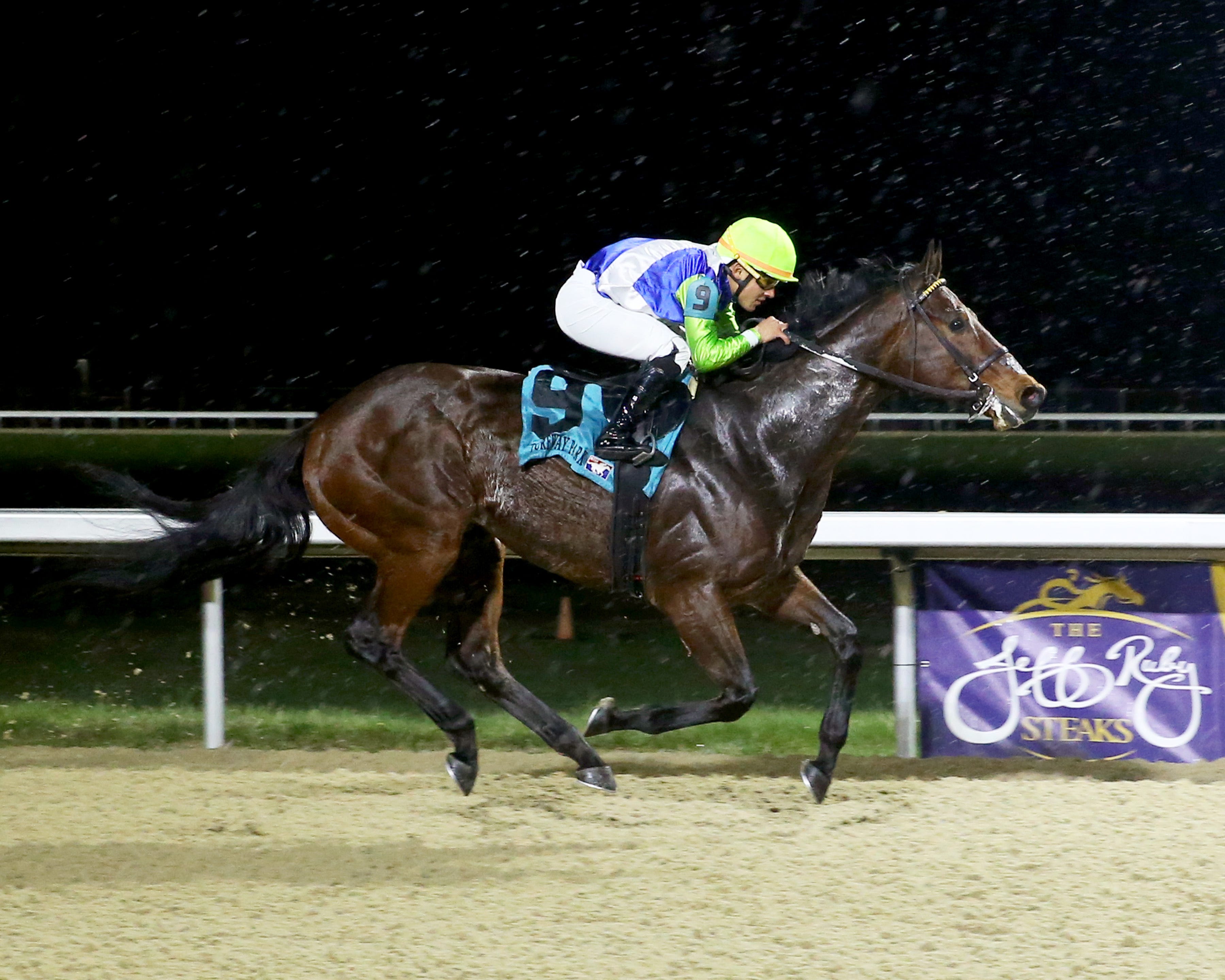 Ward saddles Navy Seal for North American debut in Canterbury Derby