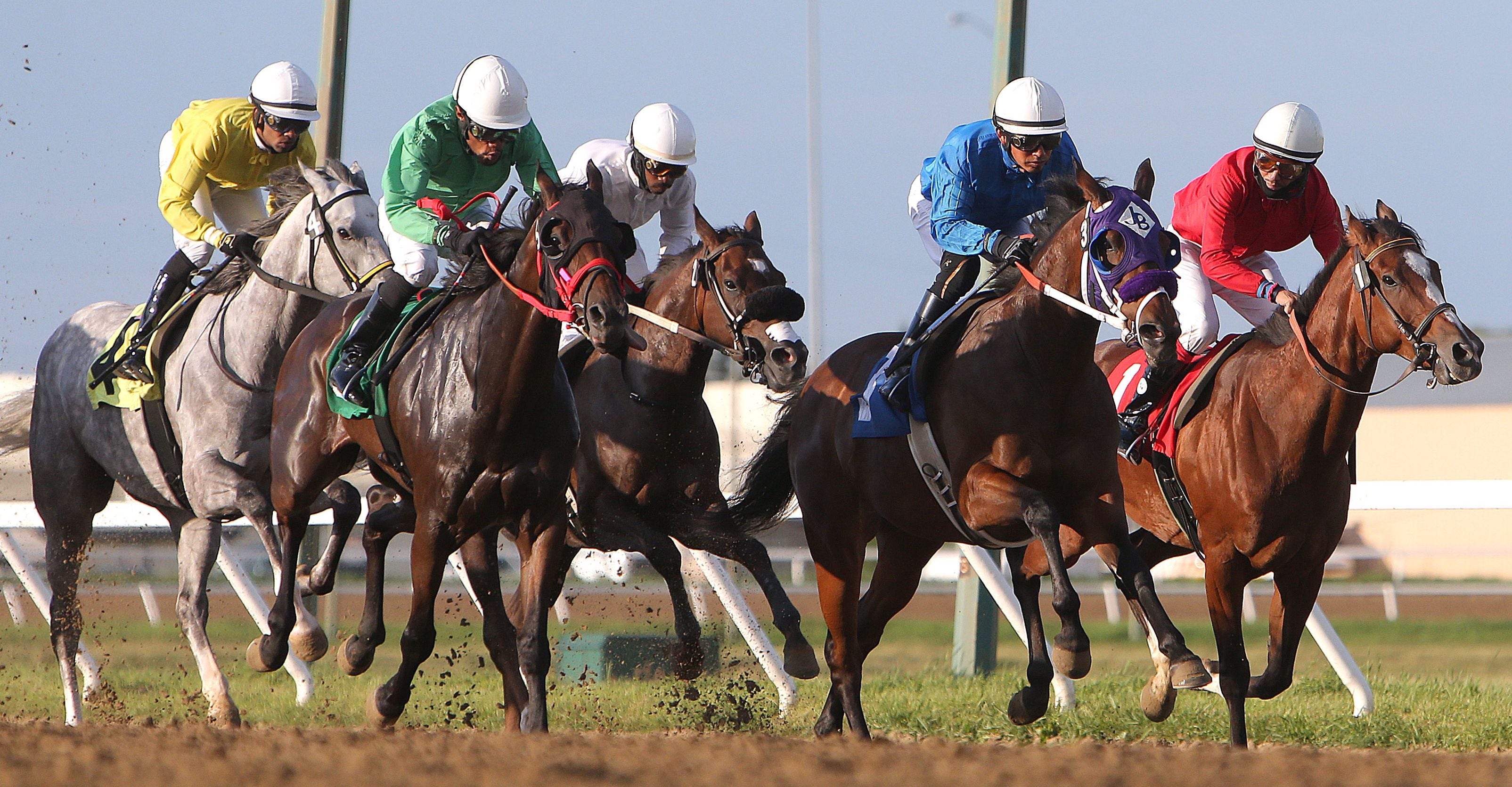 Magic Tiger looks dangerous second off the bench in Free Press