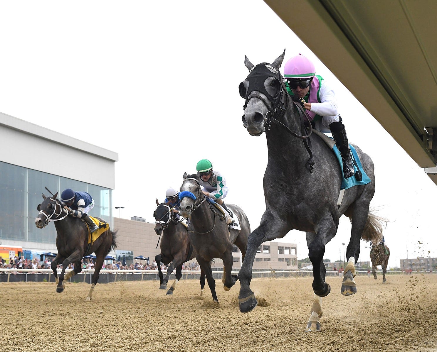 Ohio Derby winner Batten Down may move on to Jim Dandy