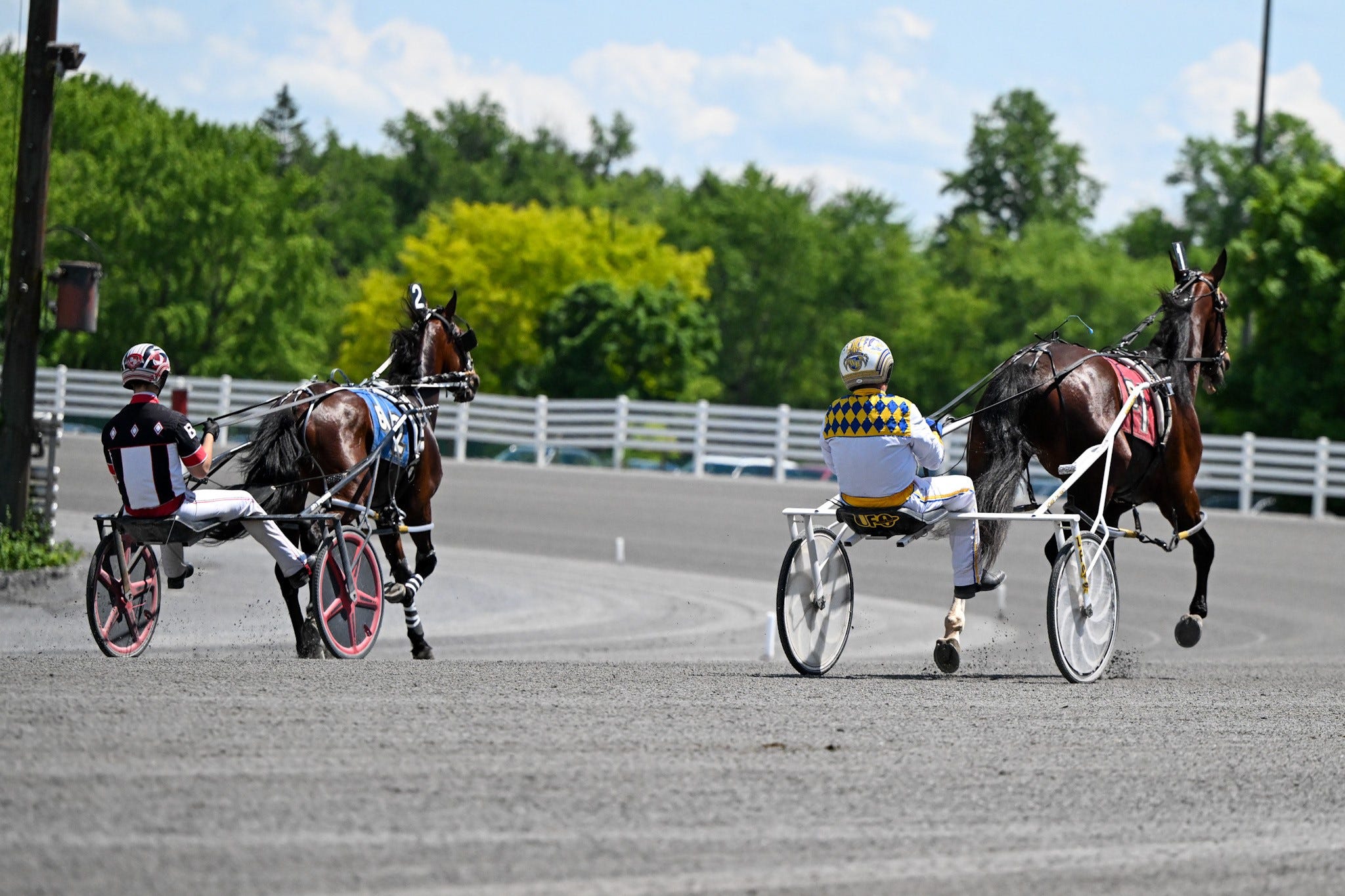 Harness: Hennessey and Beckwith divided only by age
