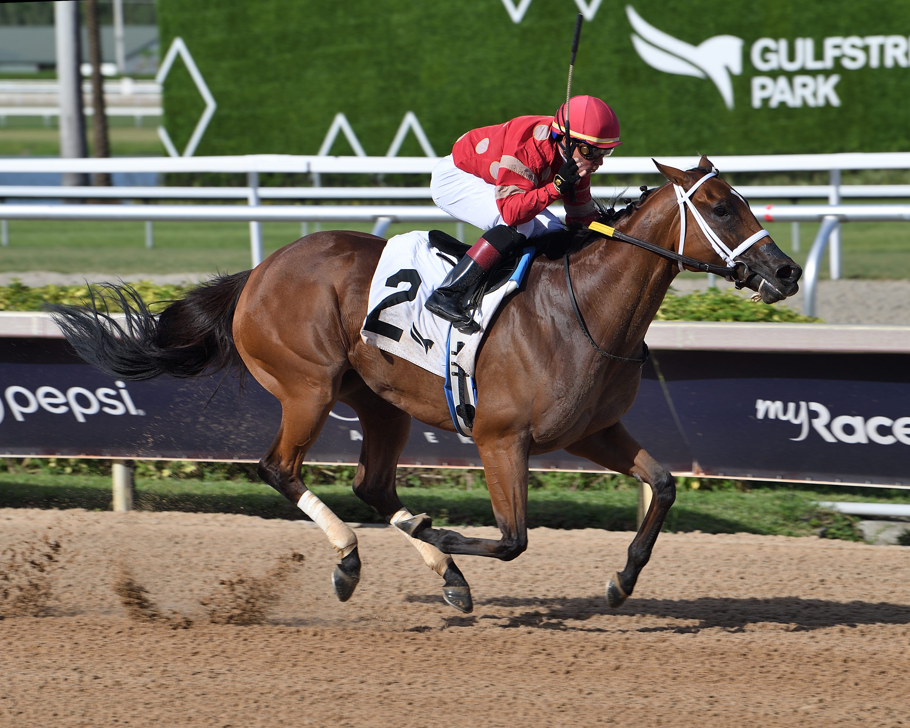 Bluefield has no trouble with Musical Romance