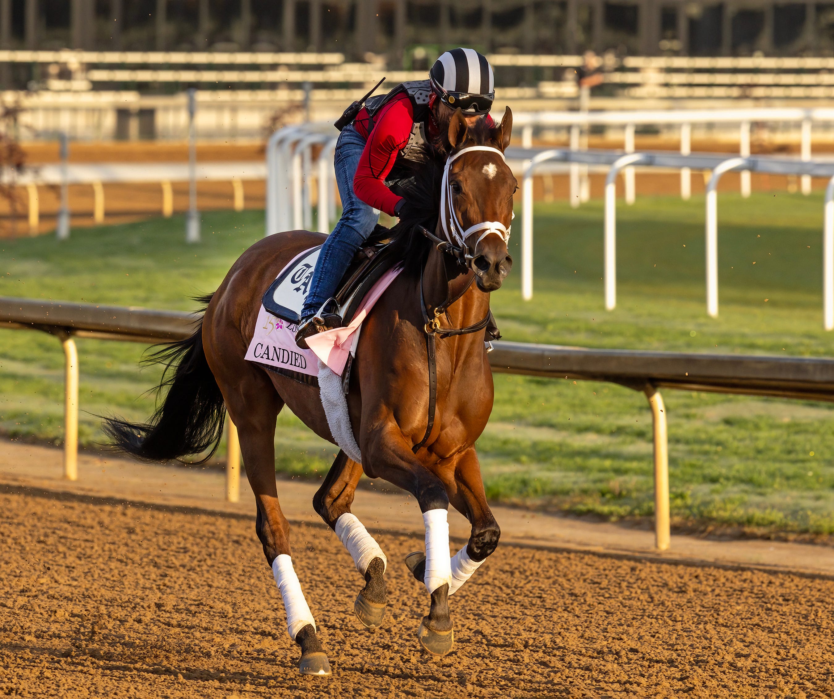 Candied takes on older in Lady's Secret