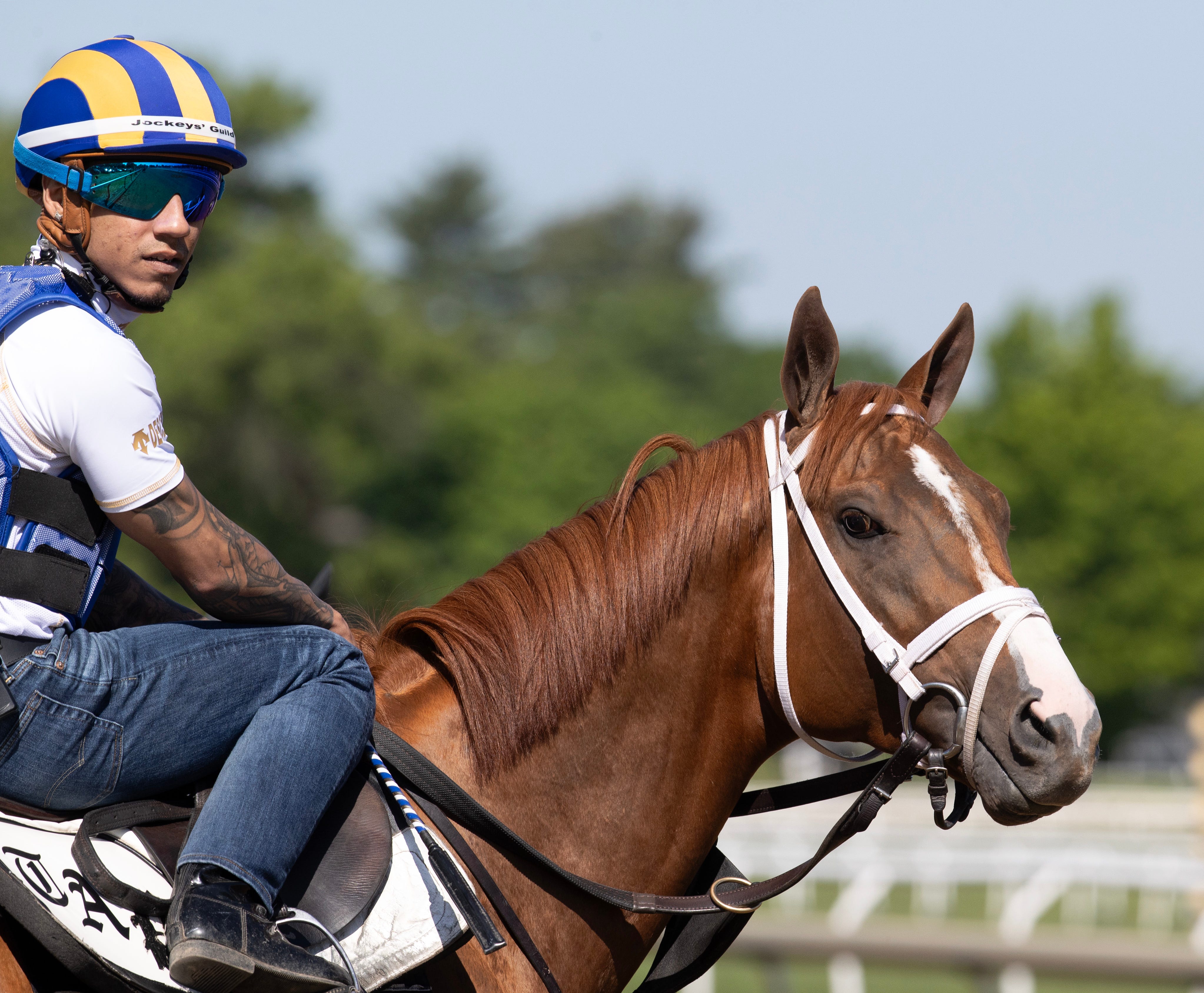 Crupi gets class relief but still needs very best in Suburban