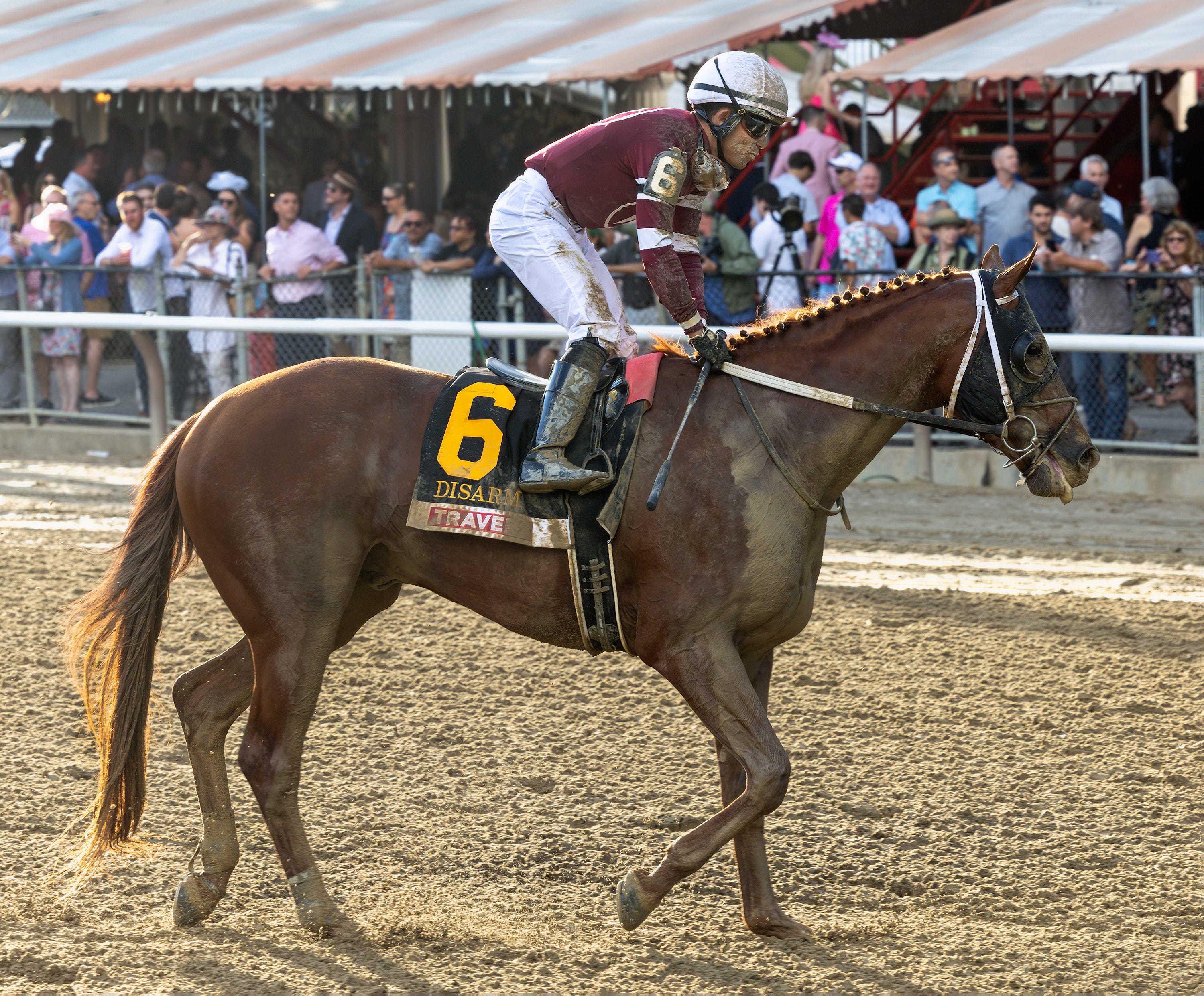 Disarm headed into Stephen Foster looking to continue Asmussen's hot streak