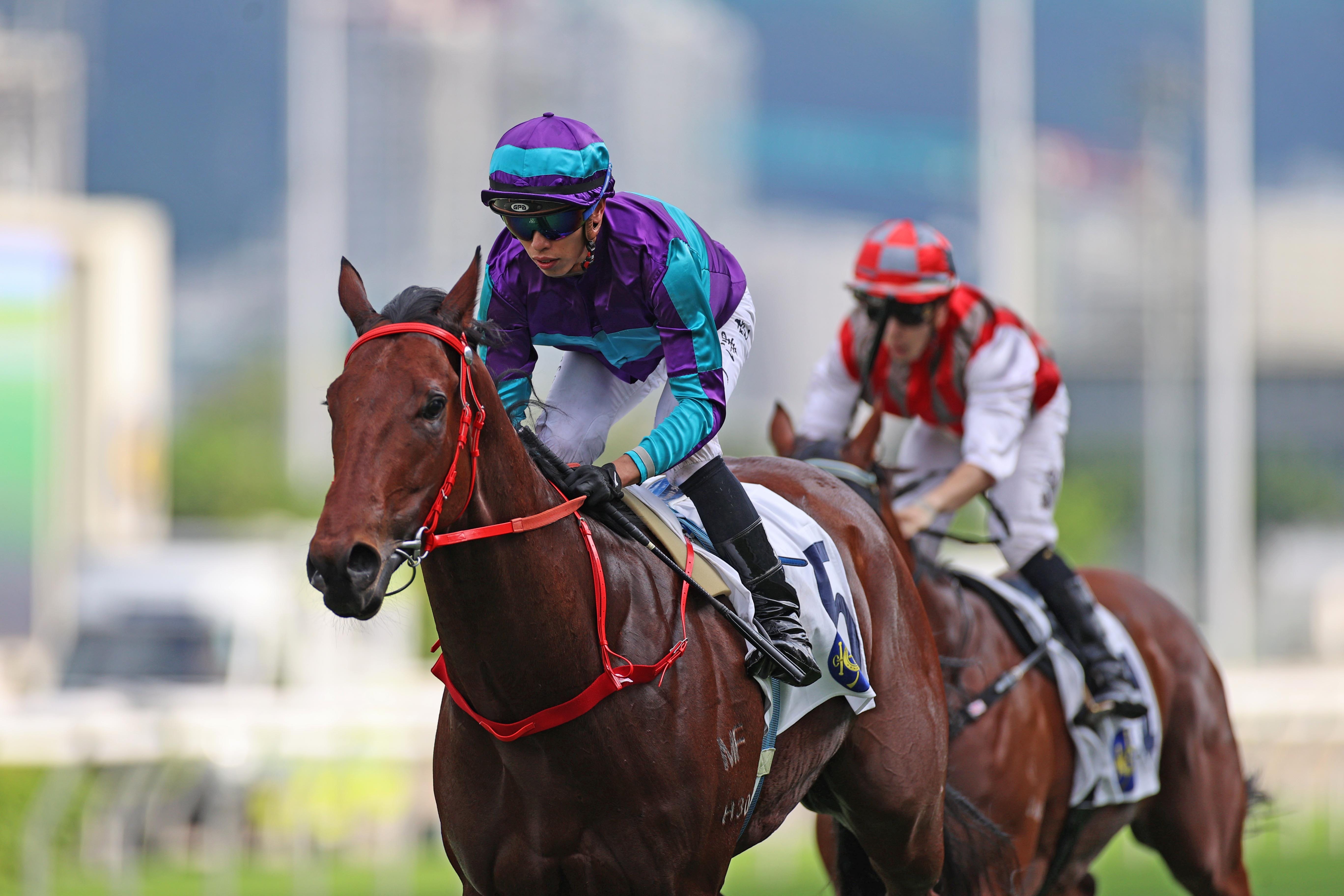 Dream Winner returns in quality dash at Happy Valley