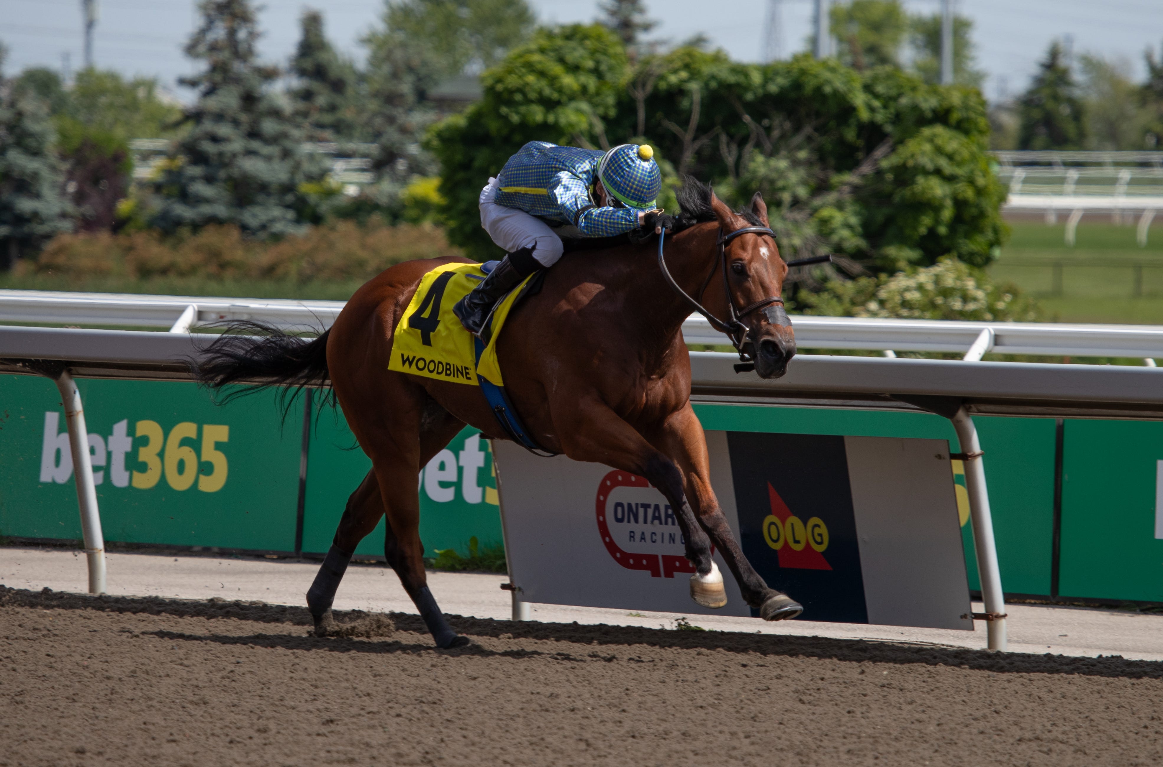 Carey could have big day with contenders in Nearctic, Singspiel