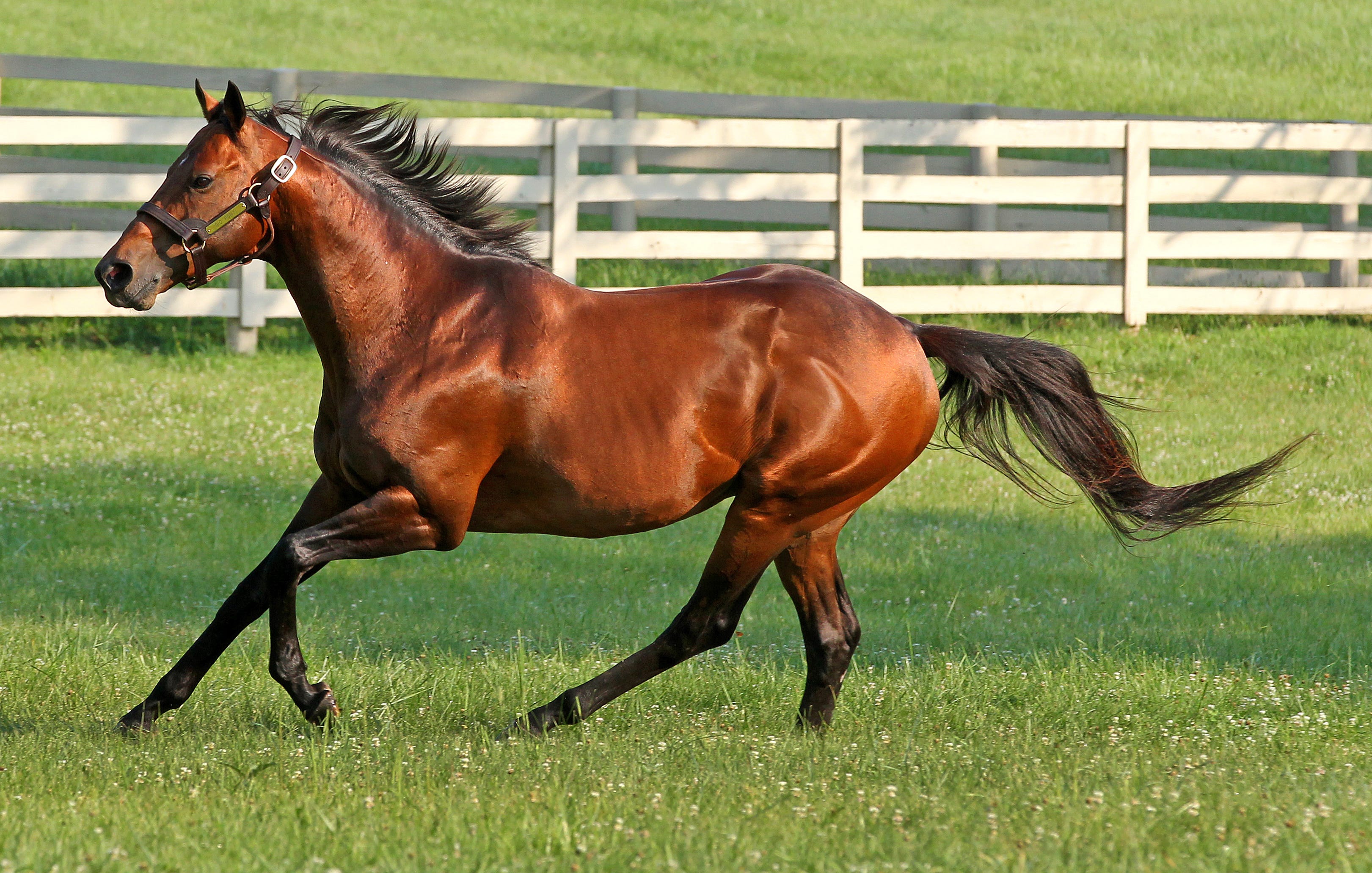 Castleton Lyons plans to subdivide farm