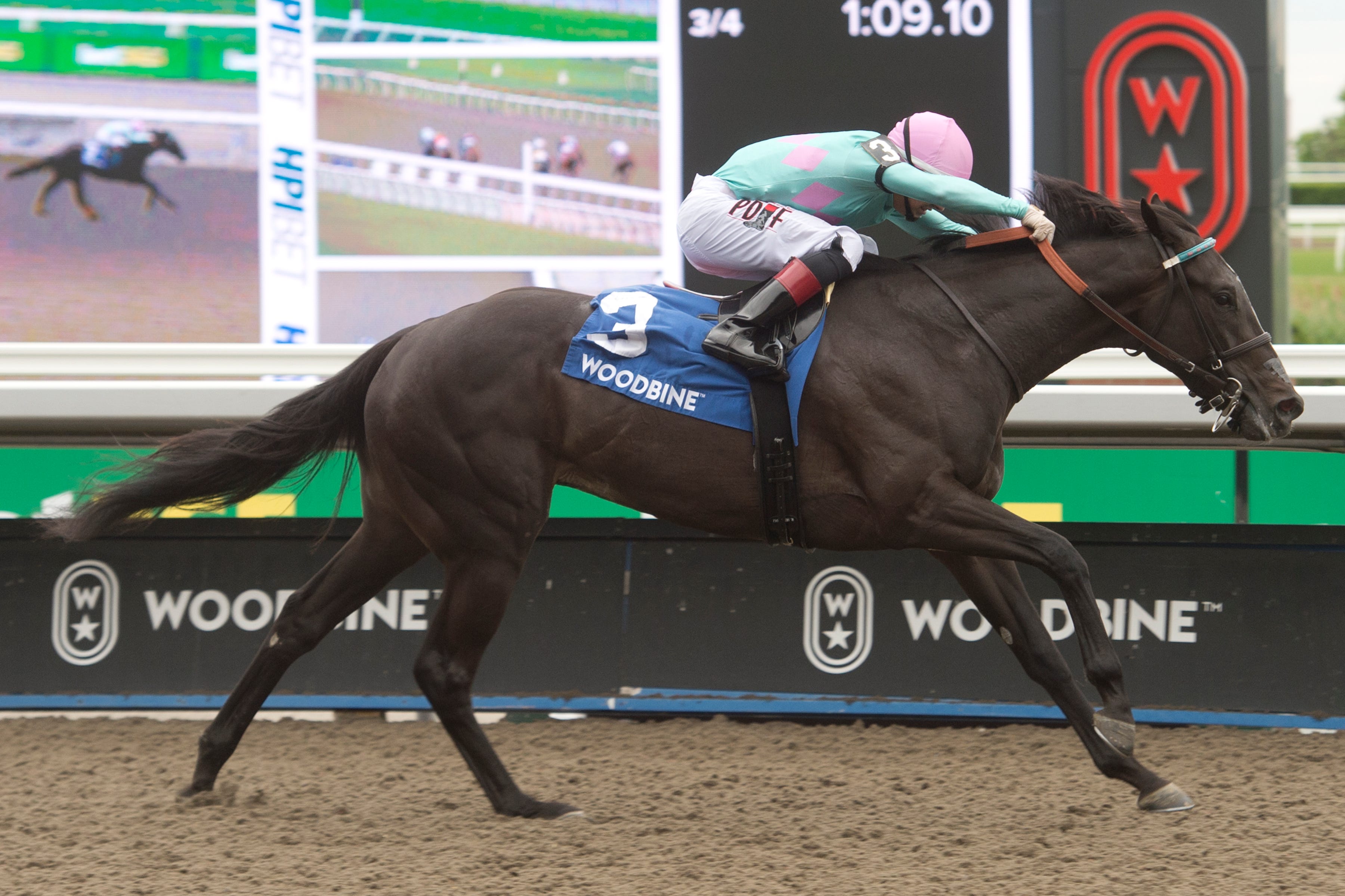 Olivia Rose gets back on her game with Fury Stakes victory