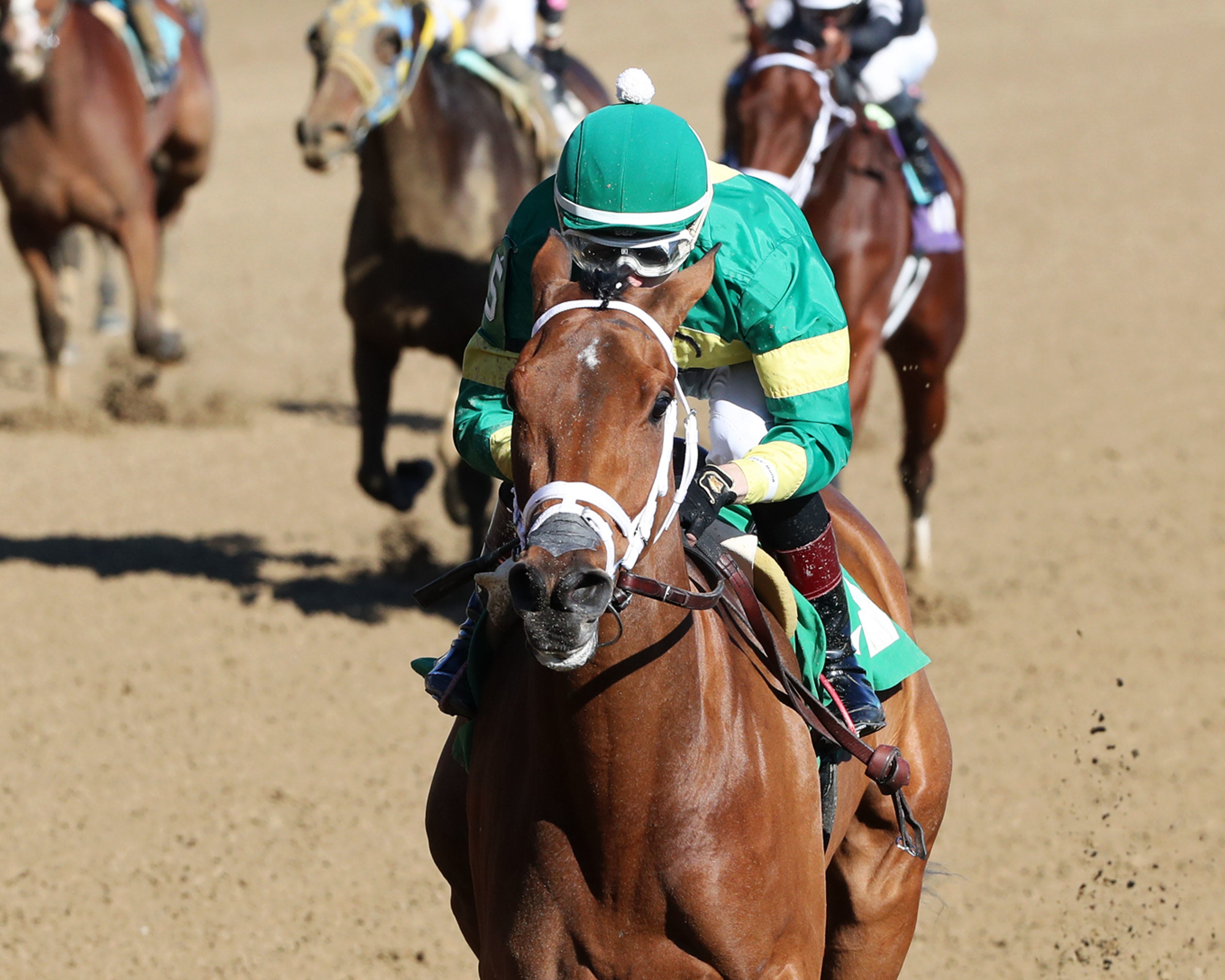 Musical Mischief, Misty Veil drop from Grade 1 company into Lady Jacqueline