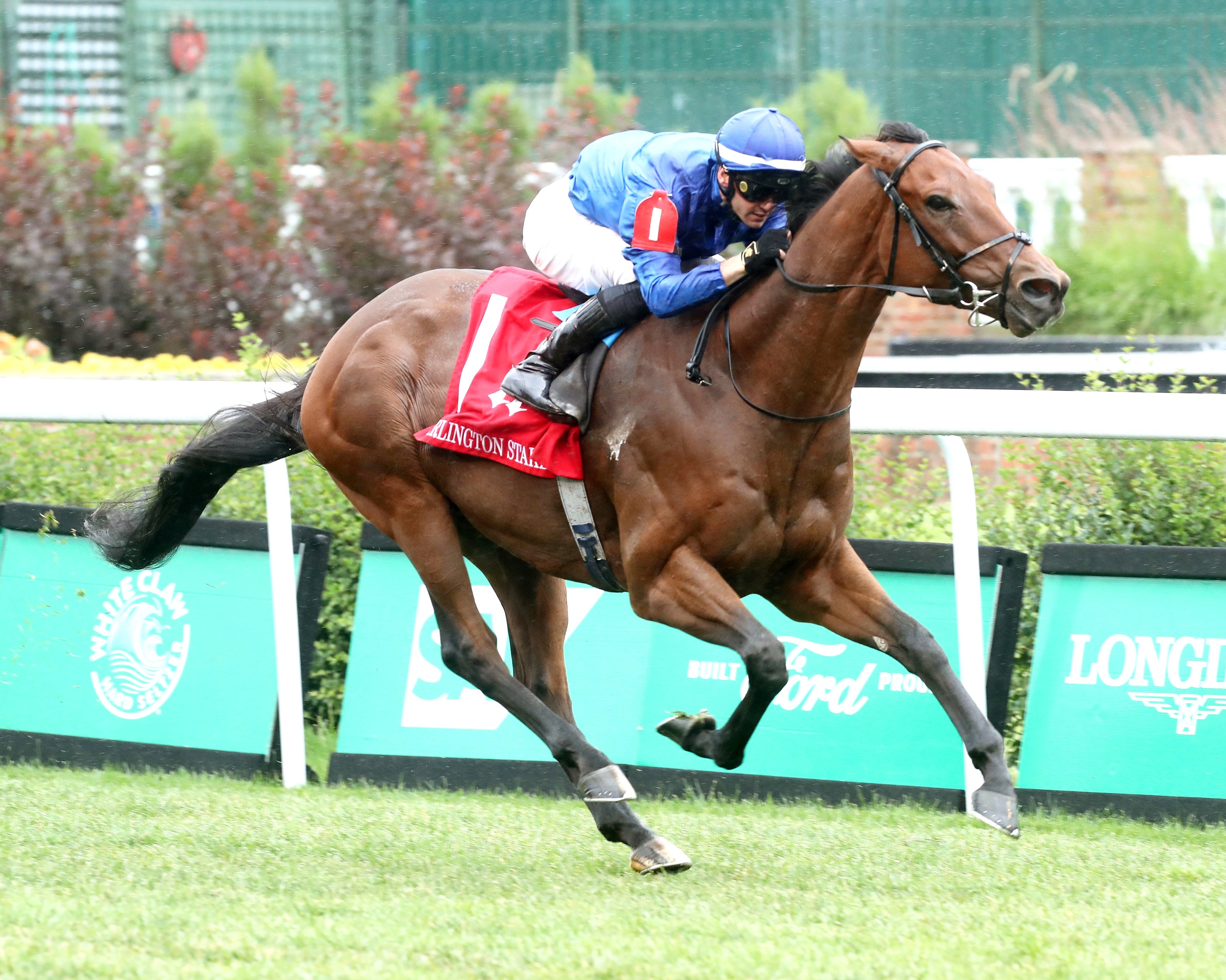 Wise Dan pace scenario murky, but Ottoman Fleet clear favorite