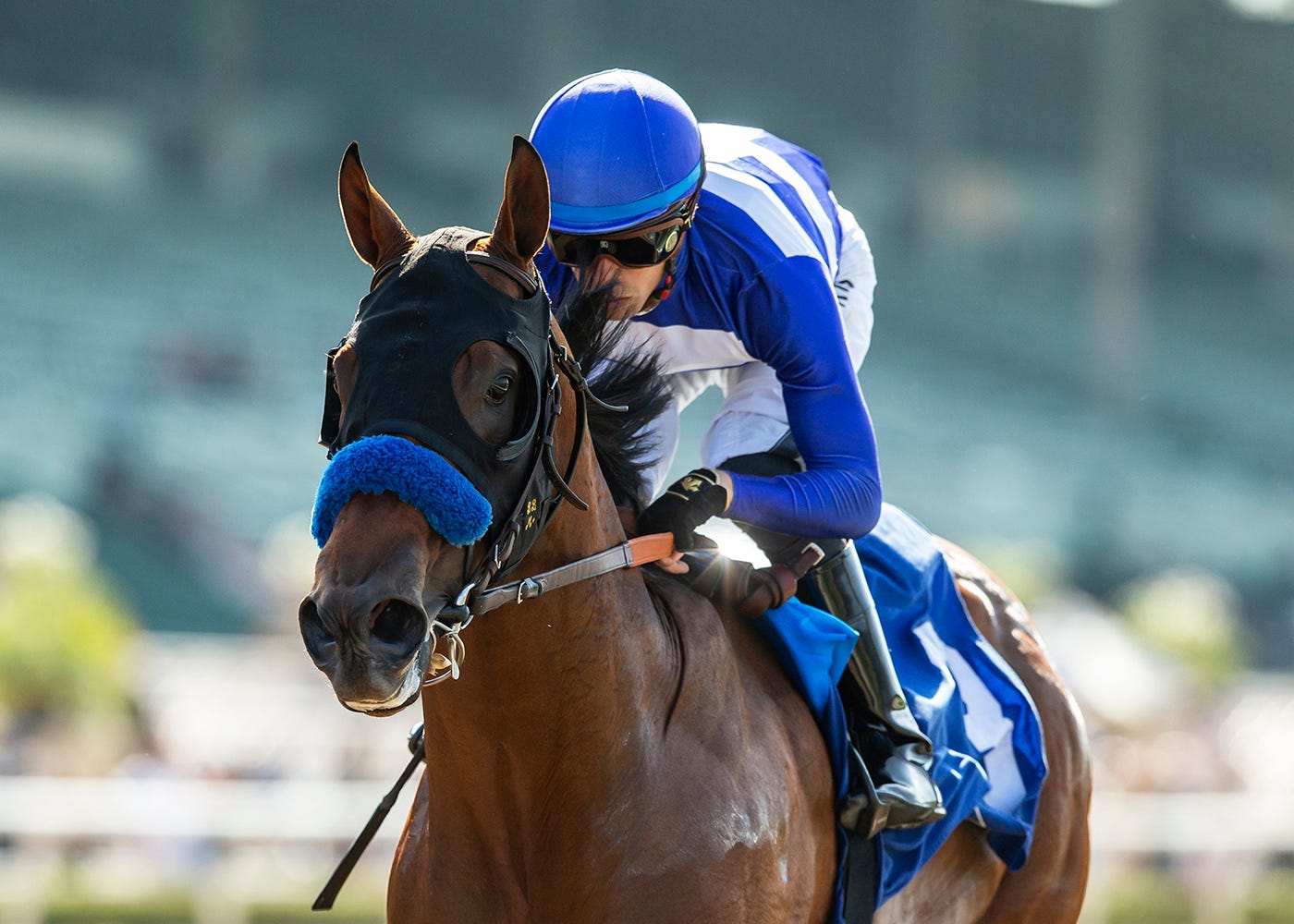 Baffert has options for Parenting after Affirmed victory