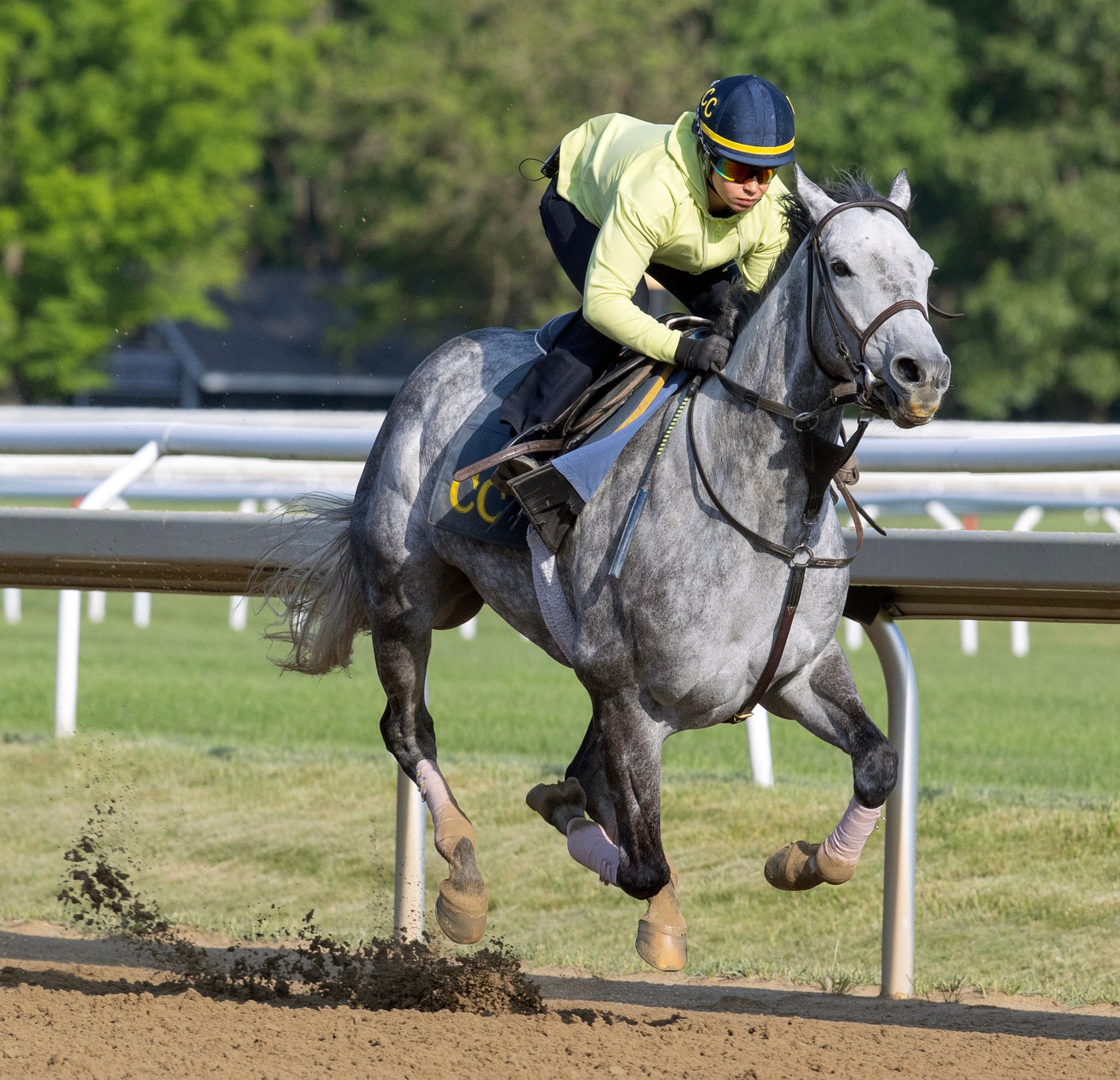 Keeneland November: Roses for Debra tops opening session at $2.4 million
