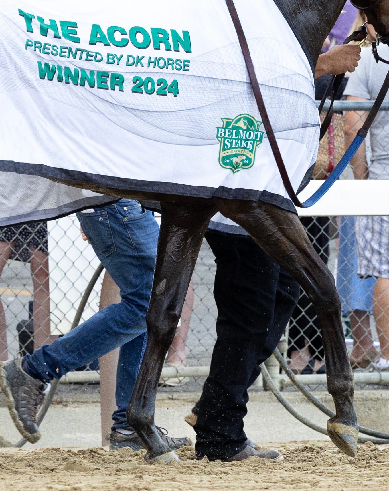 Thorpedo Anna romped in Acorn on three shoes