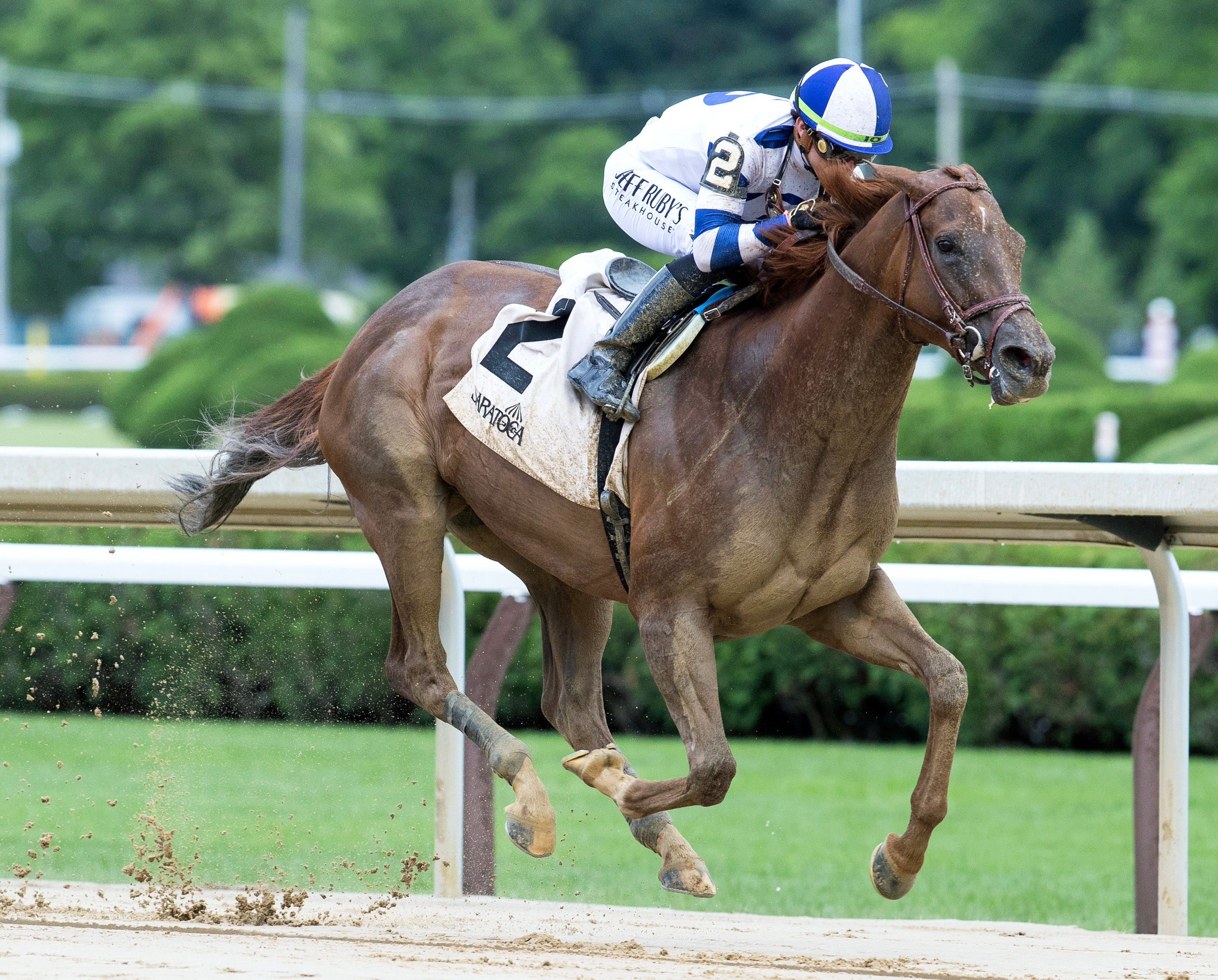 Venti Valentine rebounds with solid form in Critical Eye Stakes