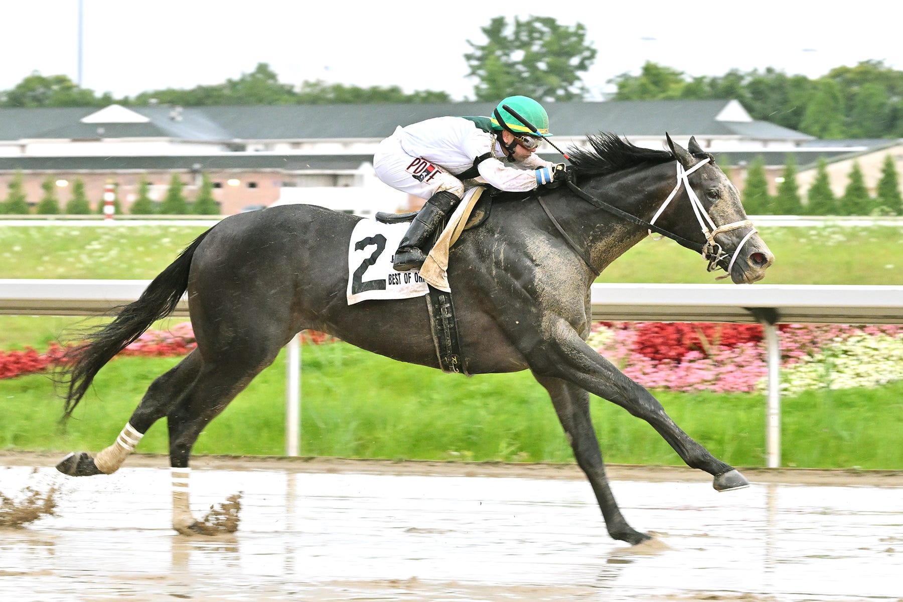 Second season for 3-year-olds gets under way in Matt Winn