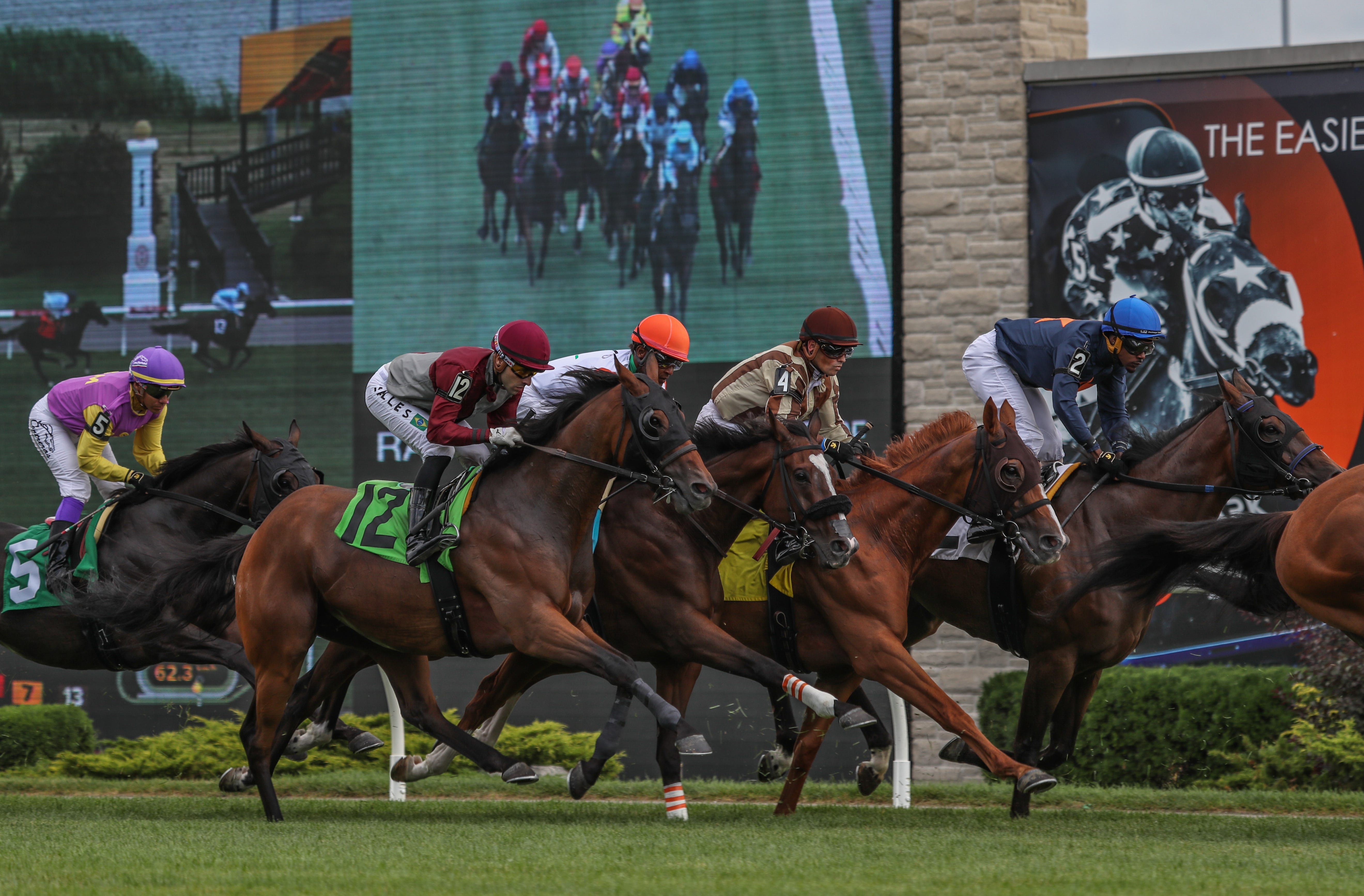 DRF's Horse Racing Playbook for Thursday, August 8, 2024