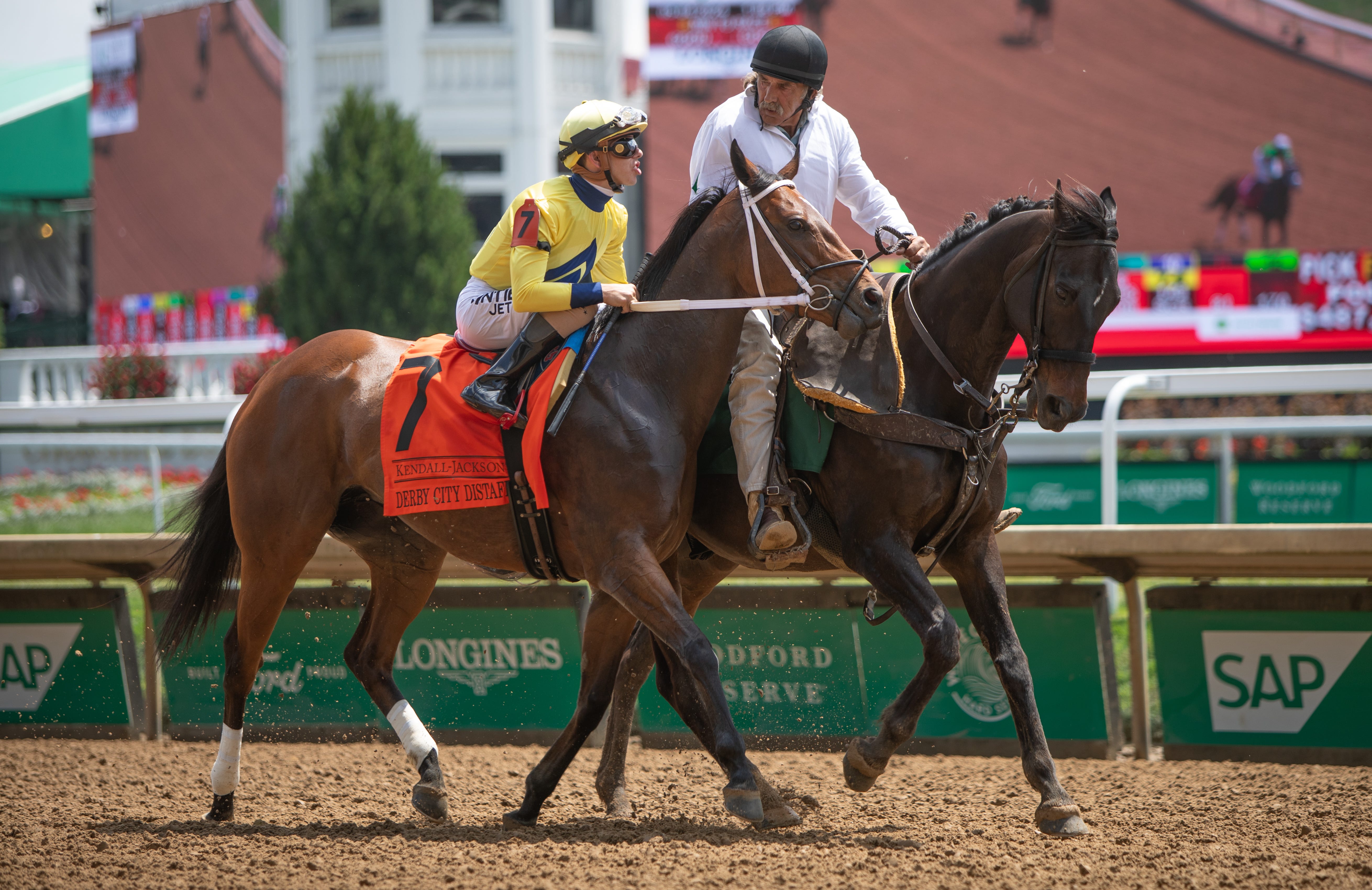 Grade 1 winner Alva Starr euthanized after injury during workout