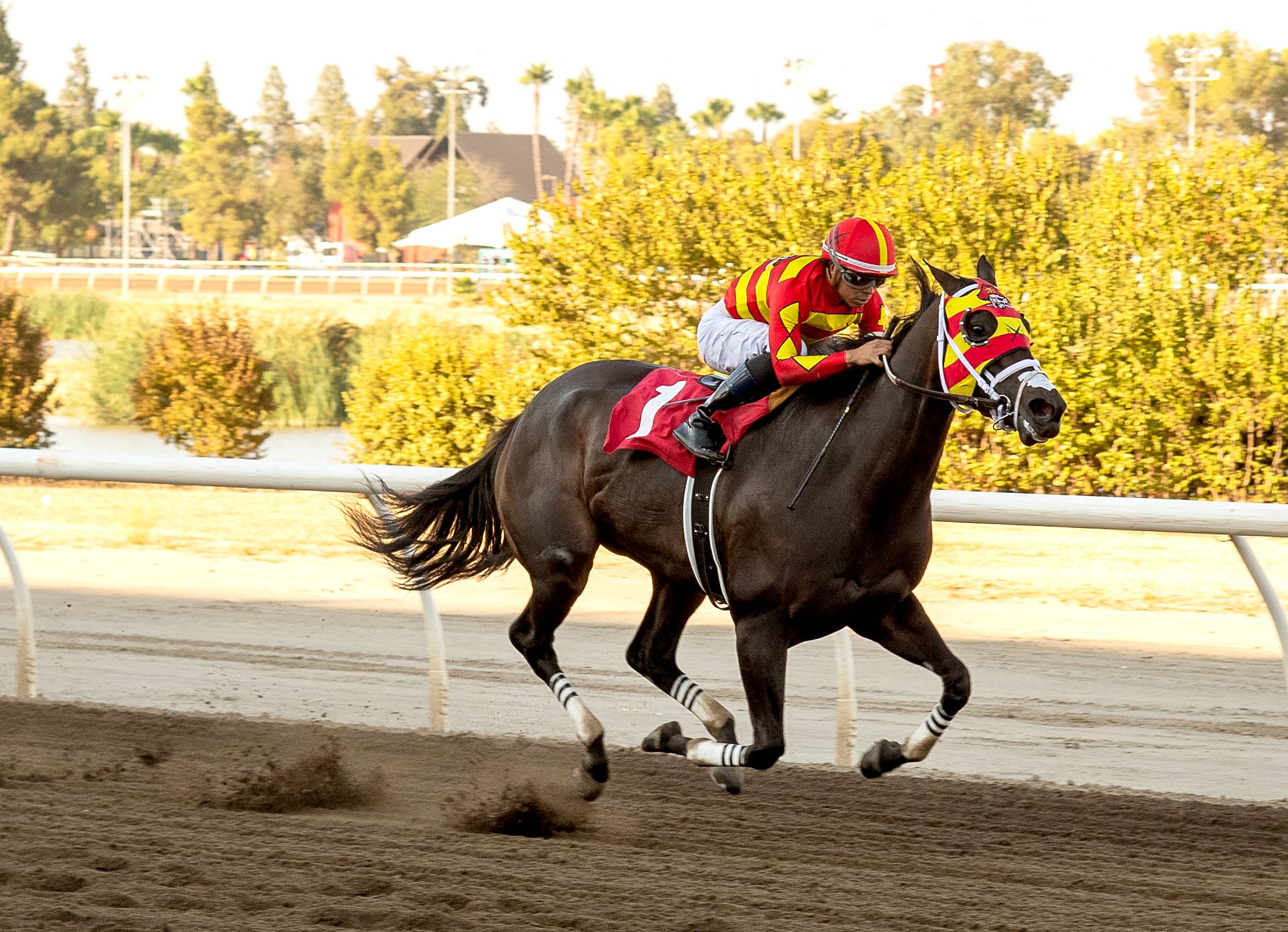 Chancery Way to take another swing at Solana Beach Stakes
