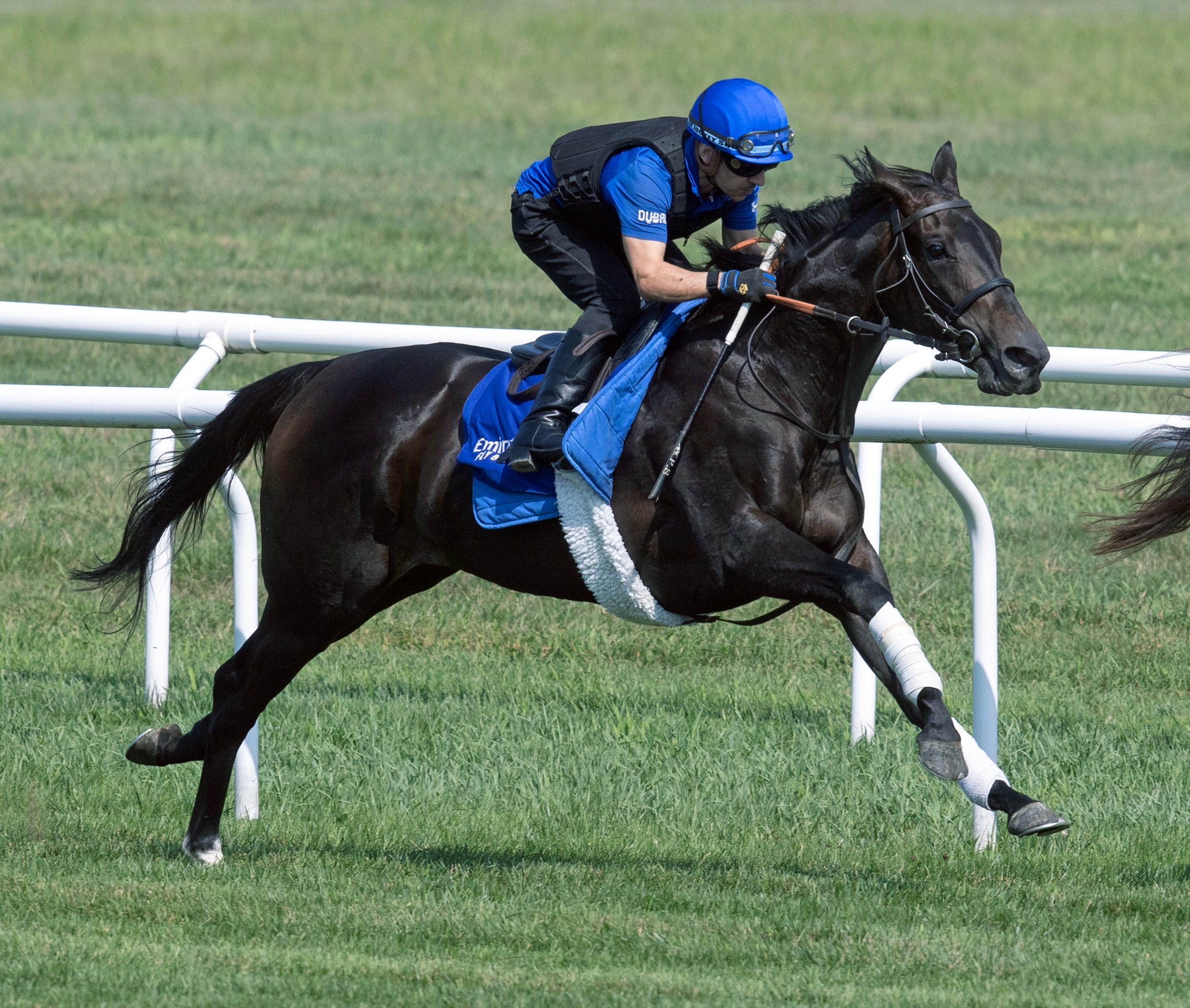 Cinderella's Dream looks tough in Saratoga Oaks for Appleby-Godolphin team