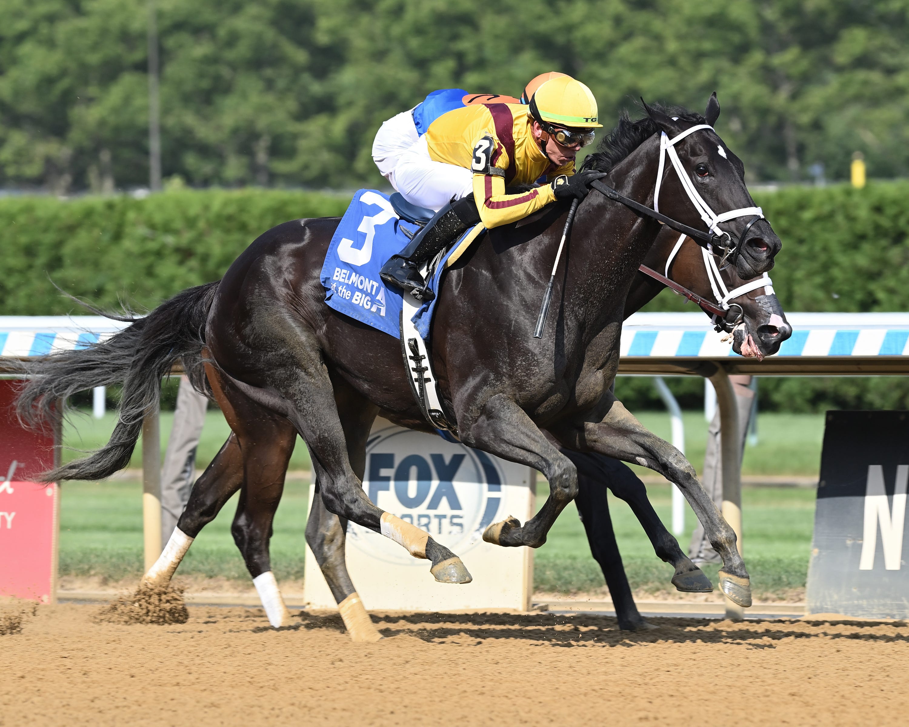 Emery and Gaffalione wear down Mystic Lake to take Victory Ride; Prat ...