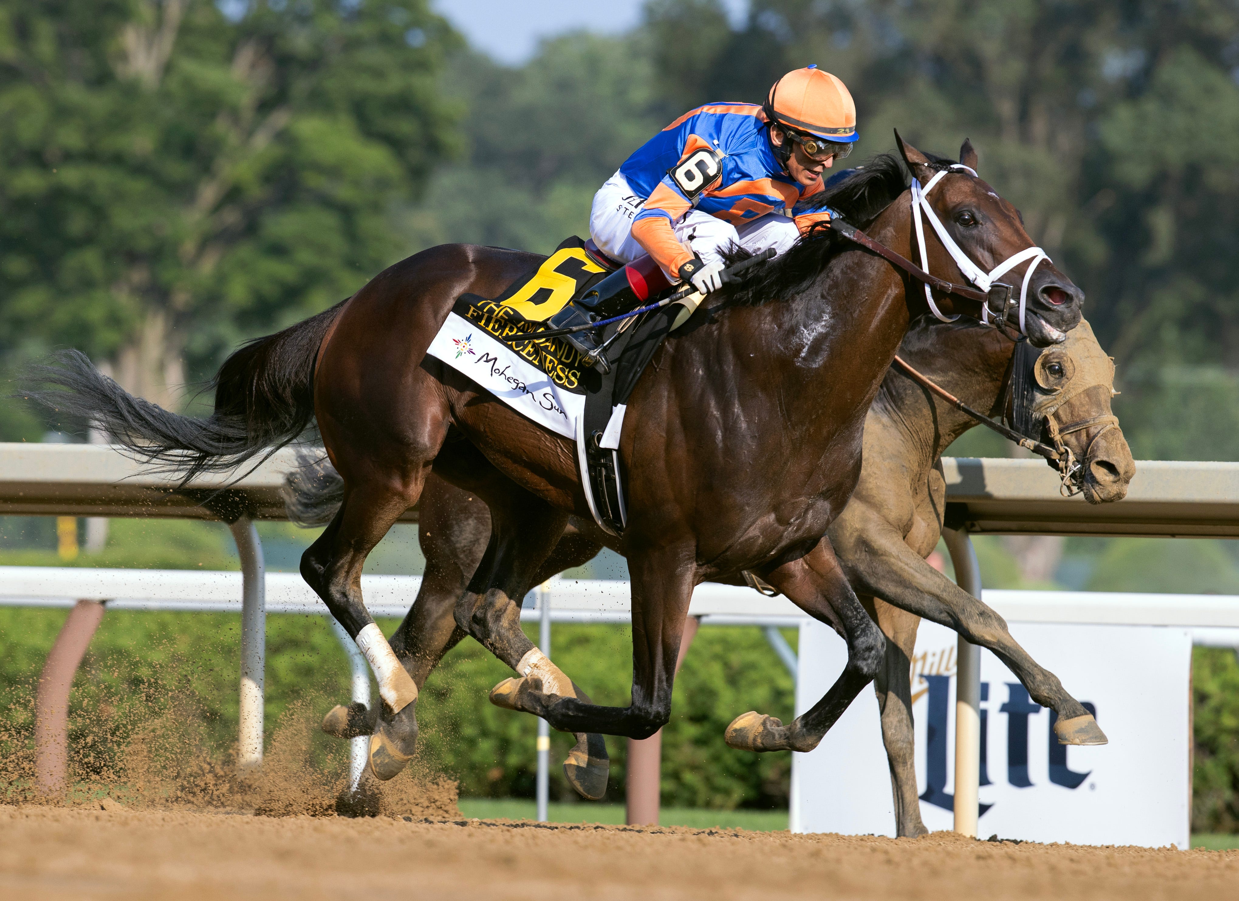 Fierceness, Mindframe in Travers? Not so fast, says Pletcher