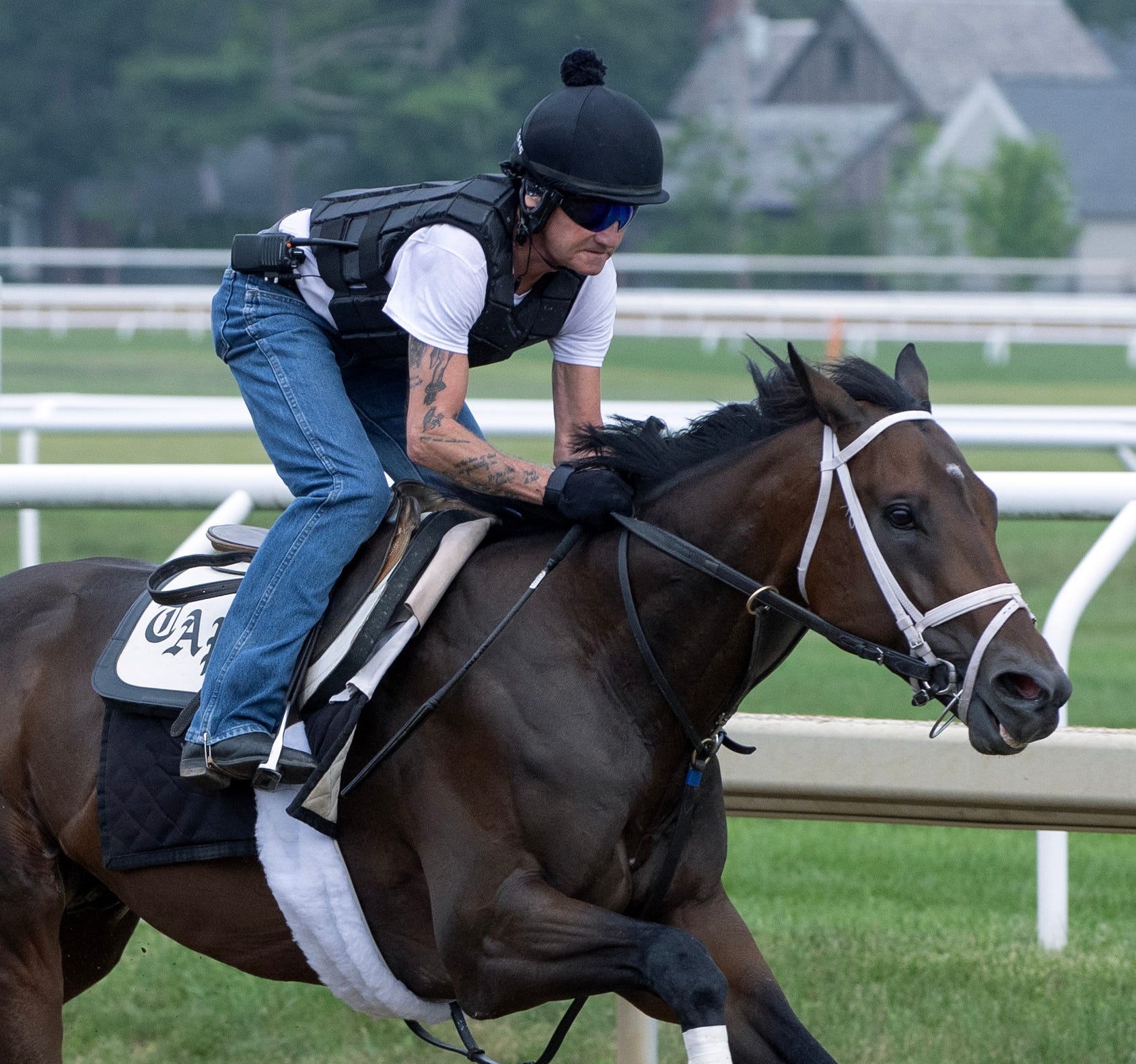 Fierceness goes half-mile in final work for Jim Dandy
