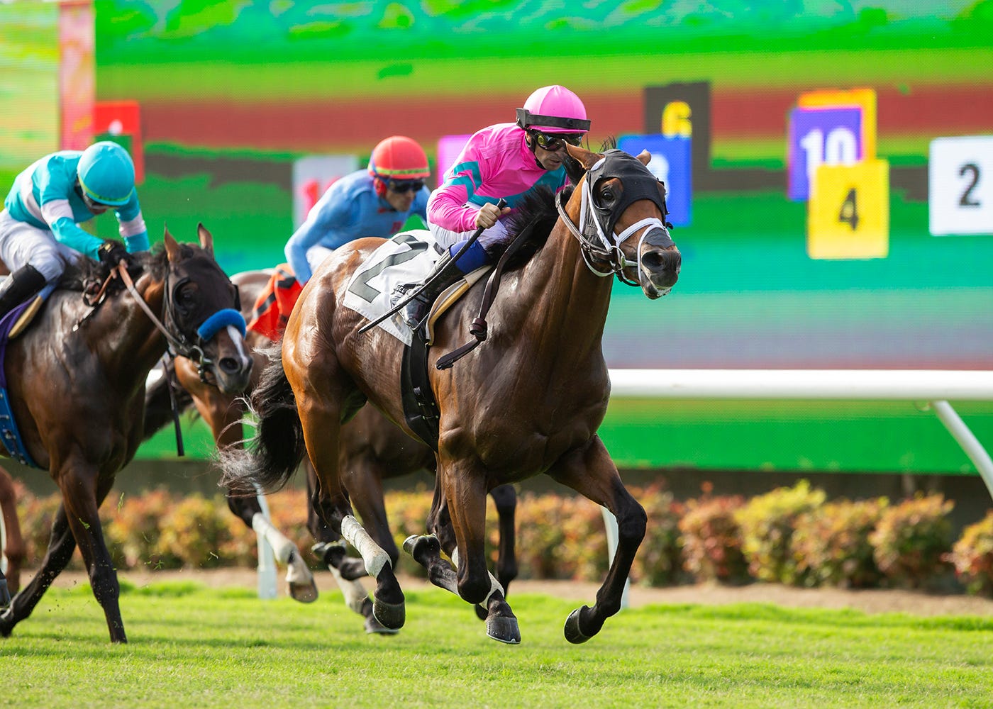 Formidable Man rallies, takes Oceanside Stakes