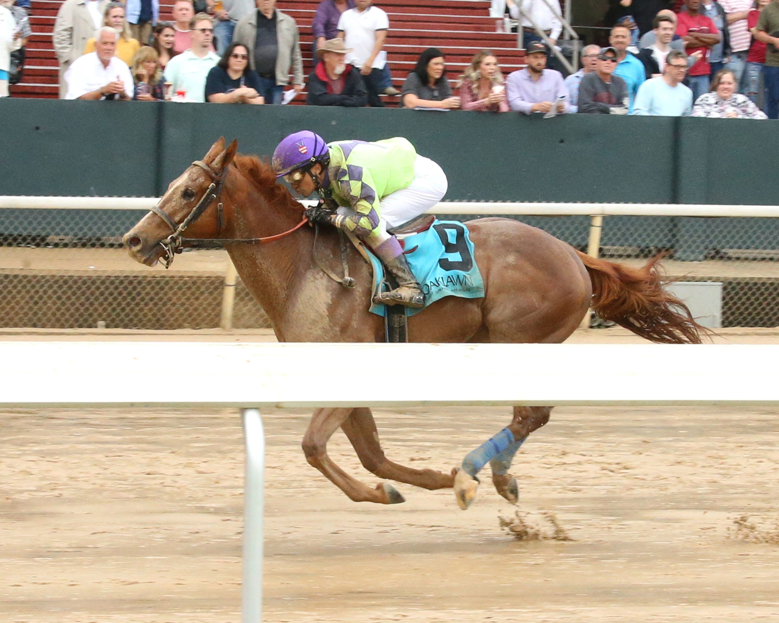 Henro likely for West Virginia Derby off Iowa Derby score