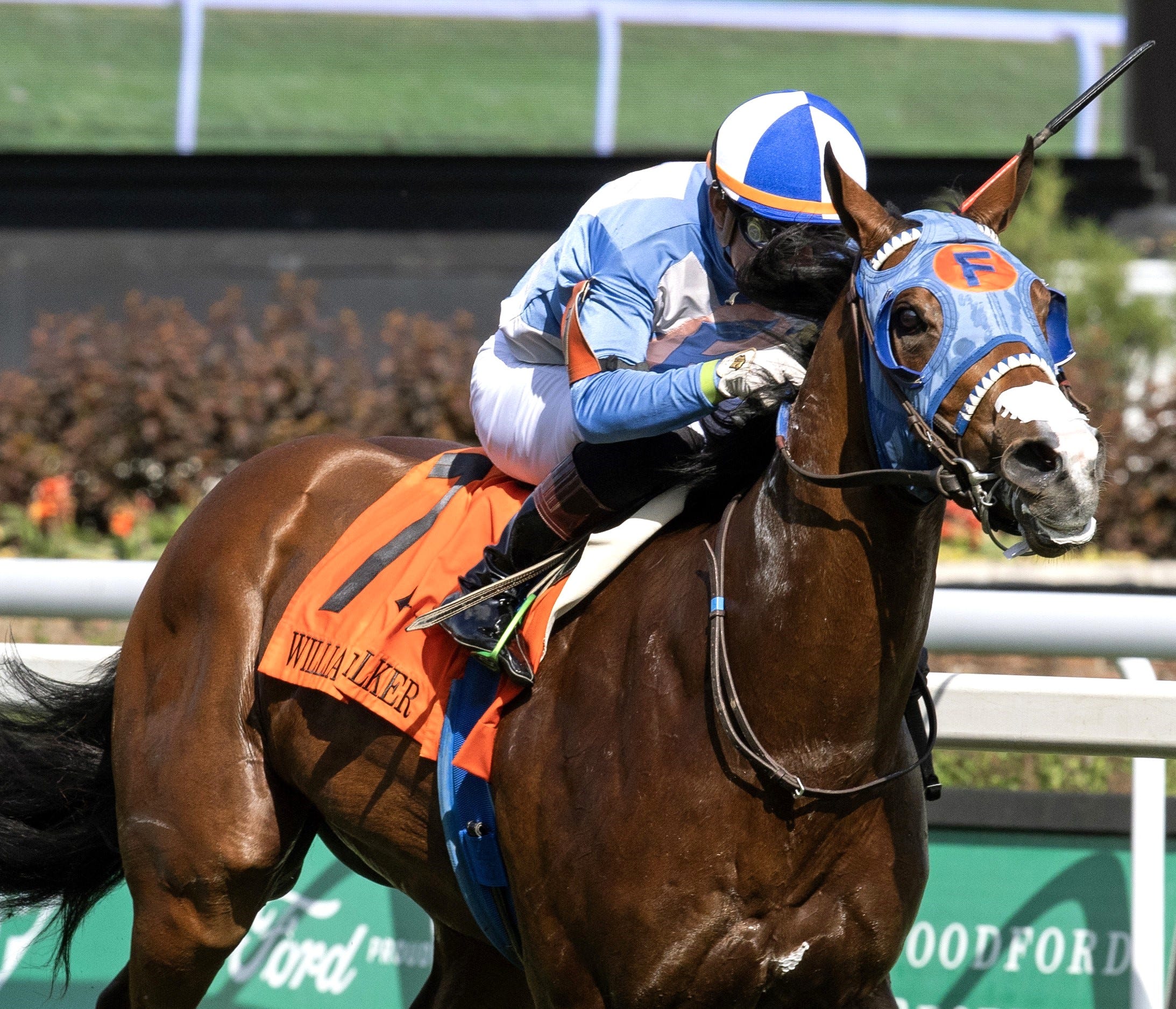 Joe Shiesty a longshot no more as 25-day meet begins