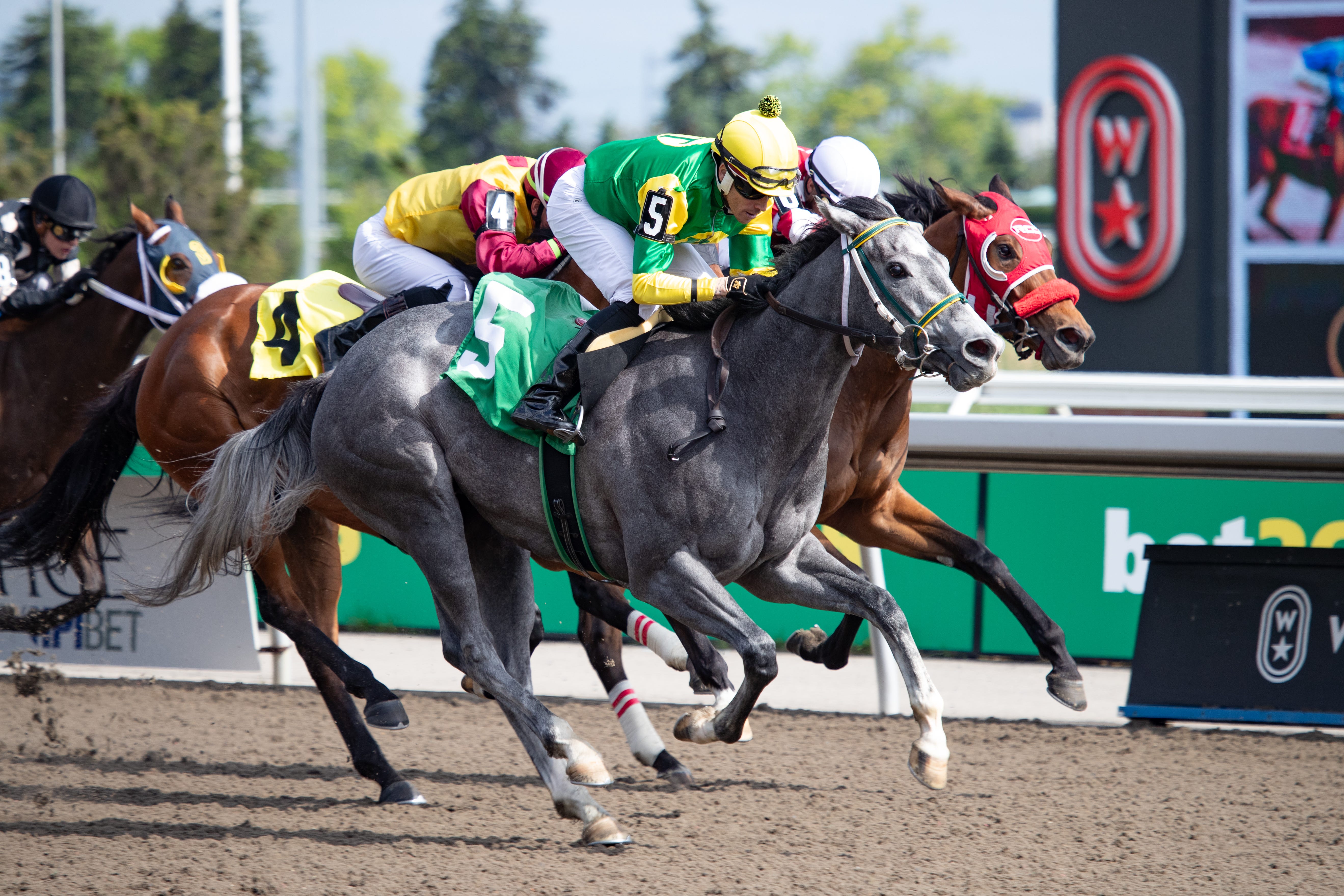 Ontario Sired Heritage Series kicks off with Georgian Bay, Lake Huron