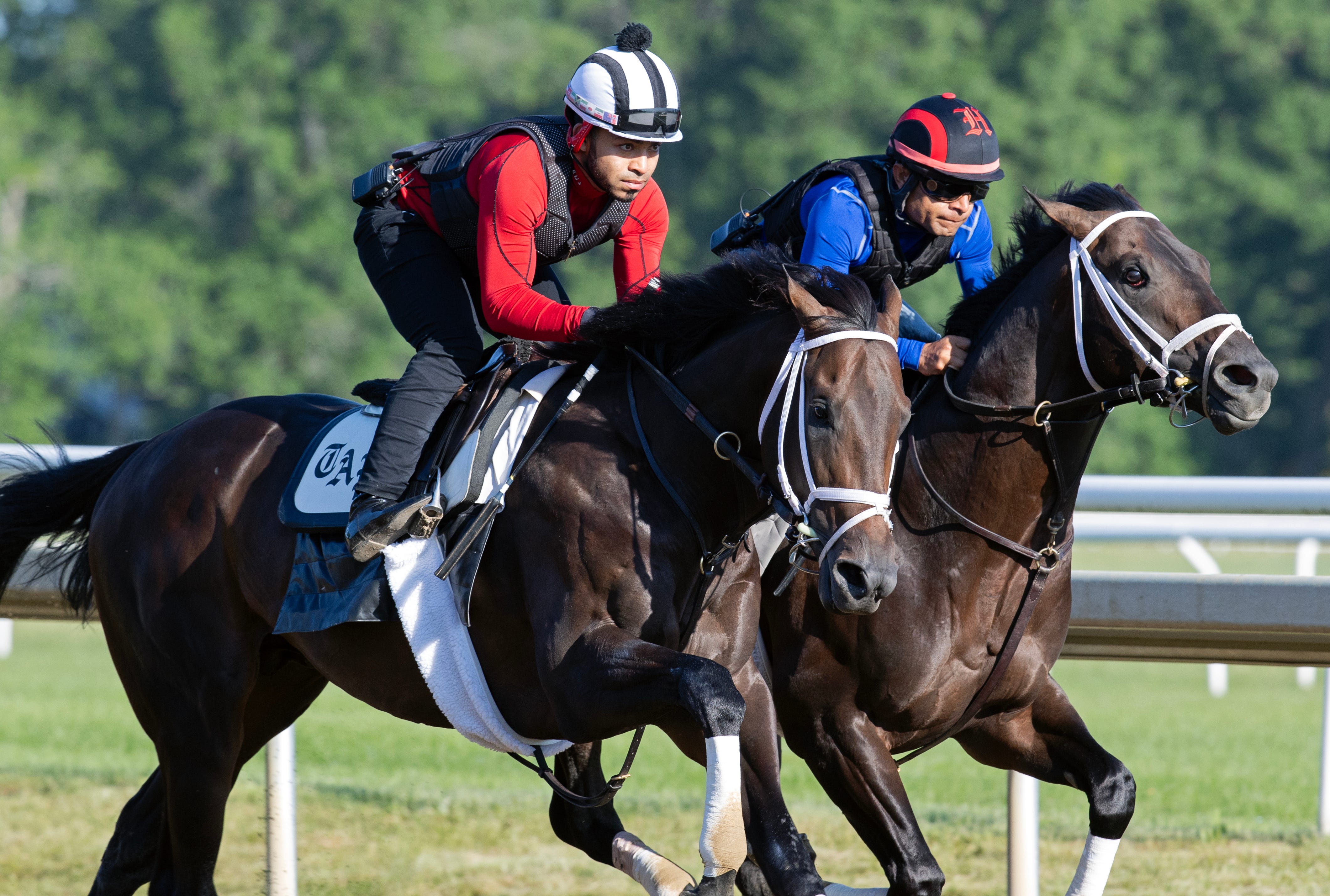 Mindframe could put it all together in Haskell