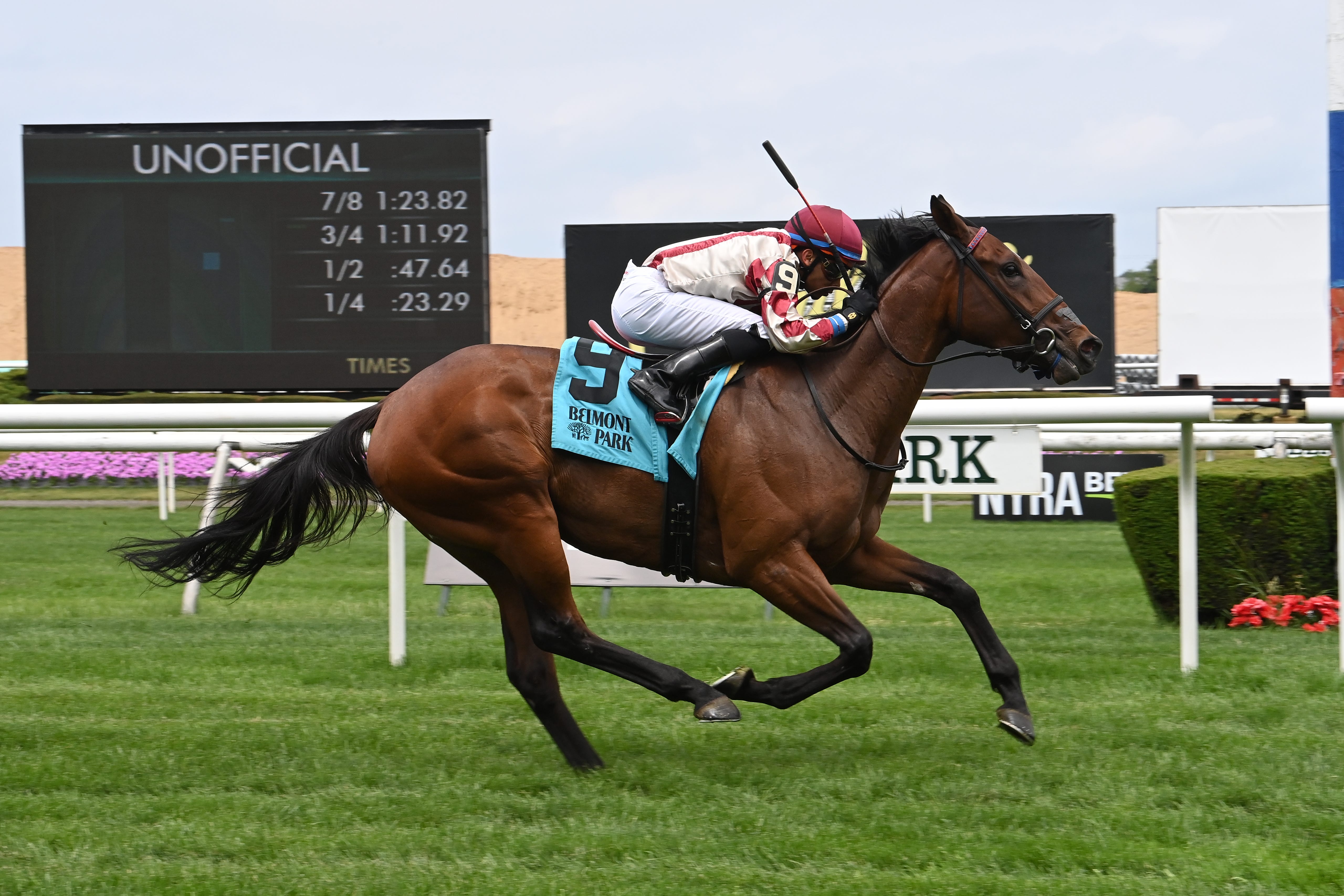 No Show Sammy Jo finally gets to make her return