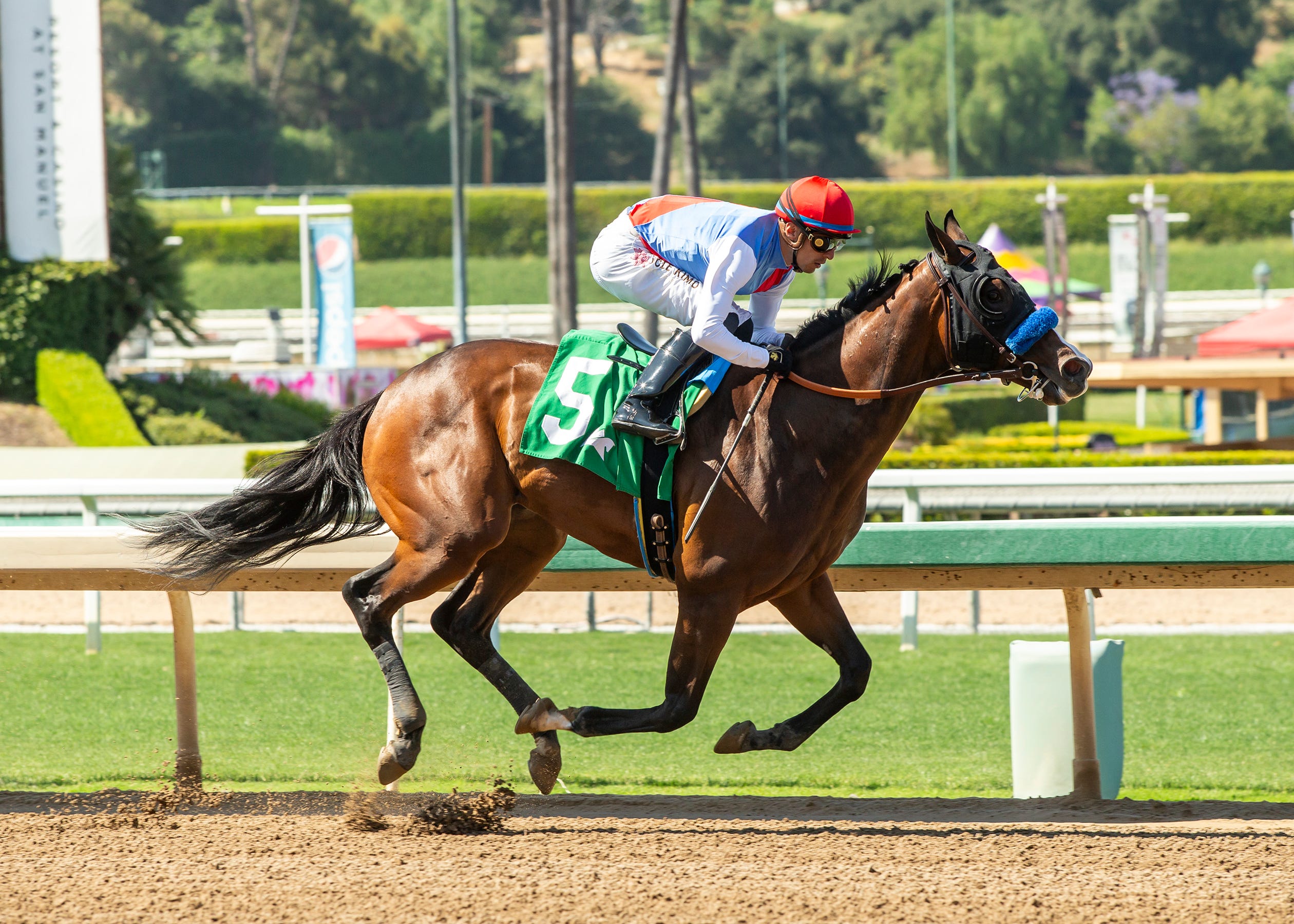 Juveniles to watch at 2024 Del Mar summer meet