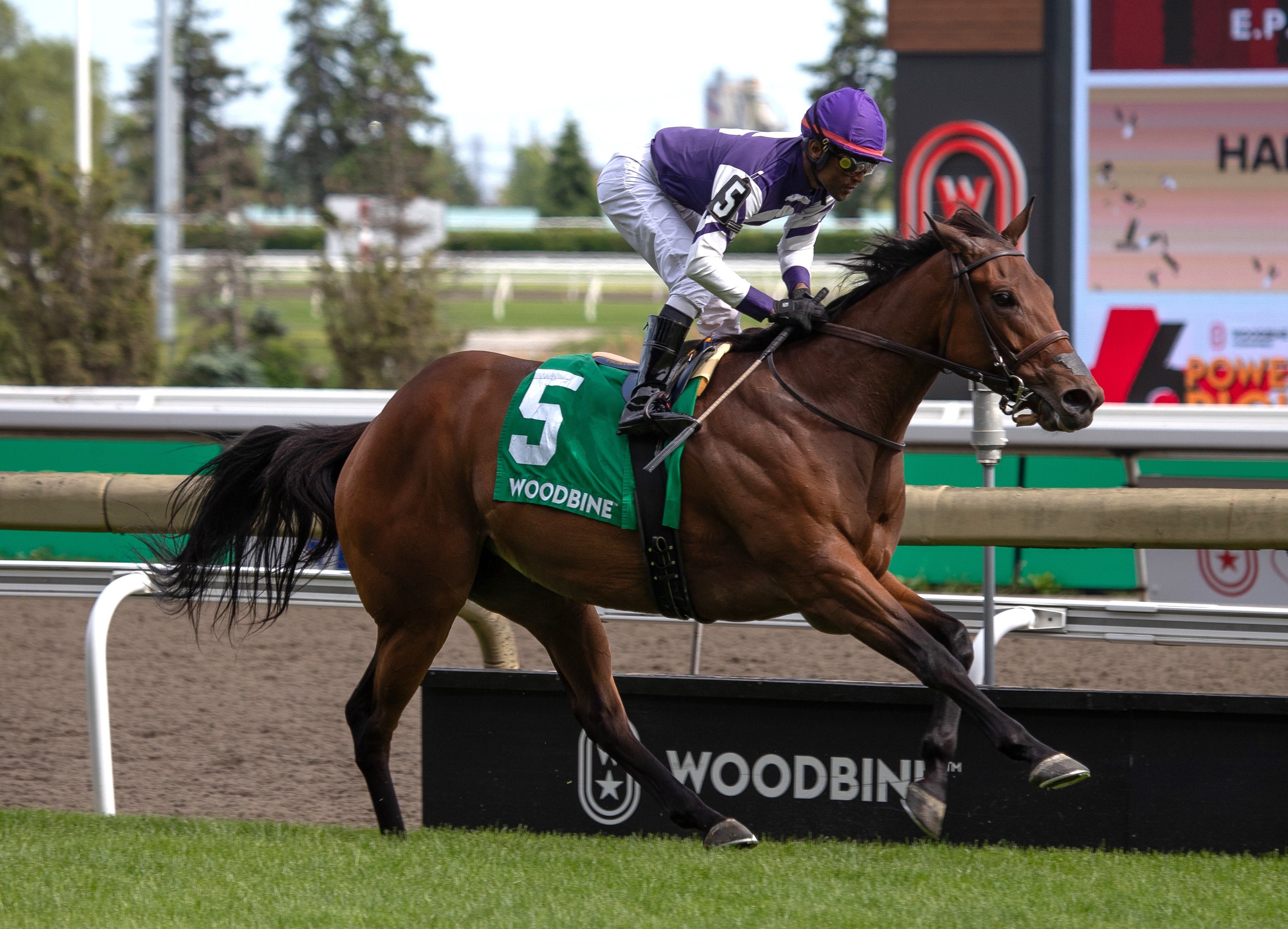 Play the Music goes for third stakes win of meet in Hendrie