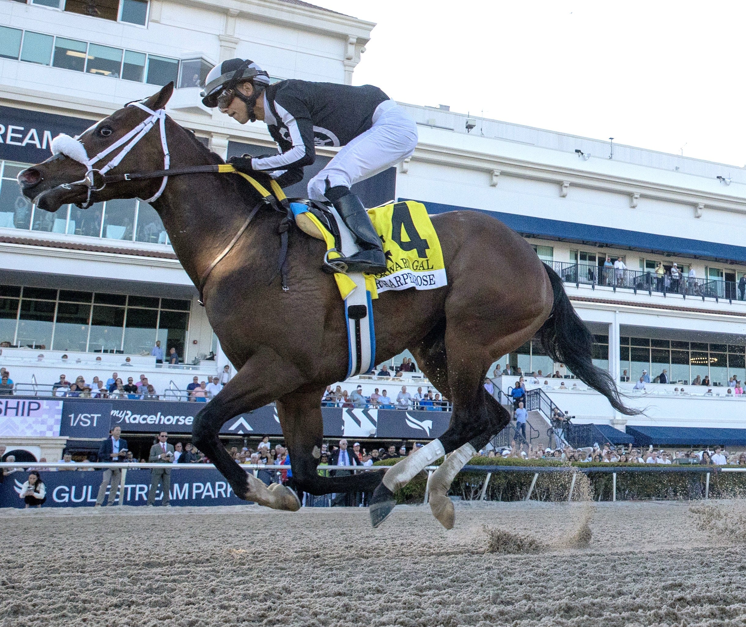 R Harper Rose should bounce back in Azalea after failed trip to Kentucky