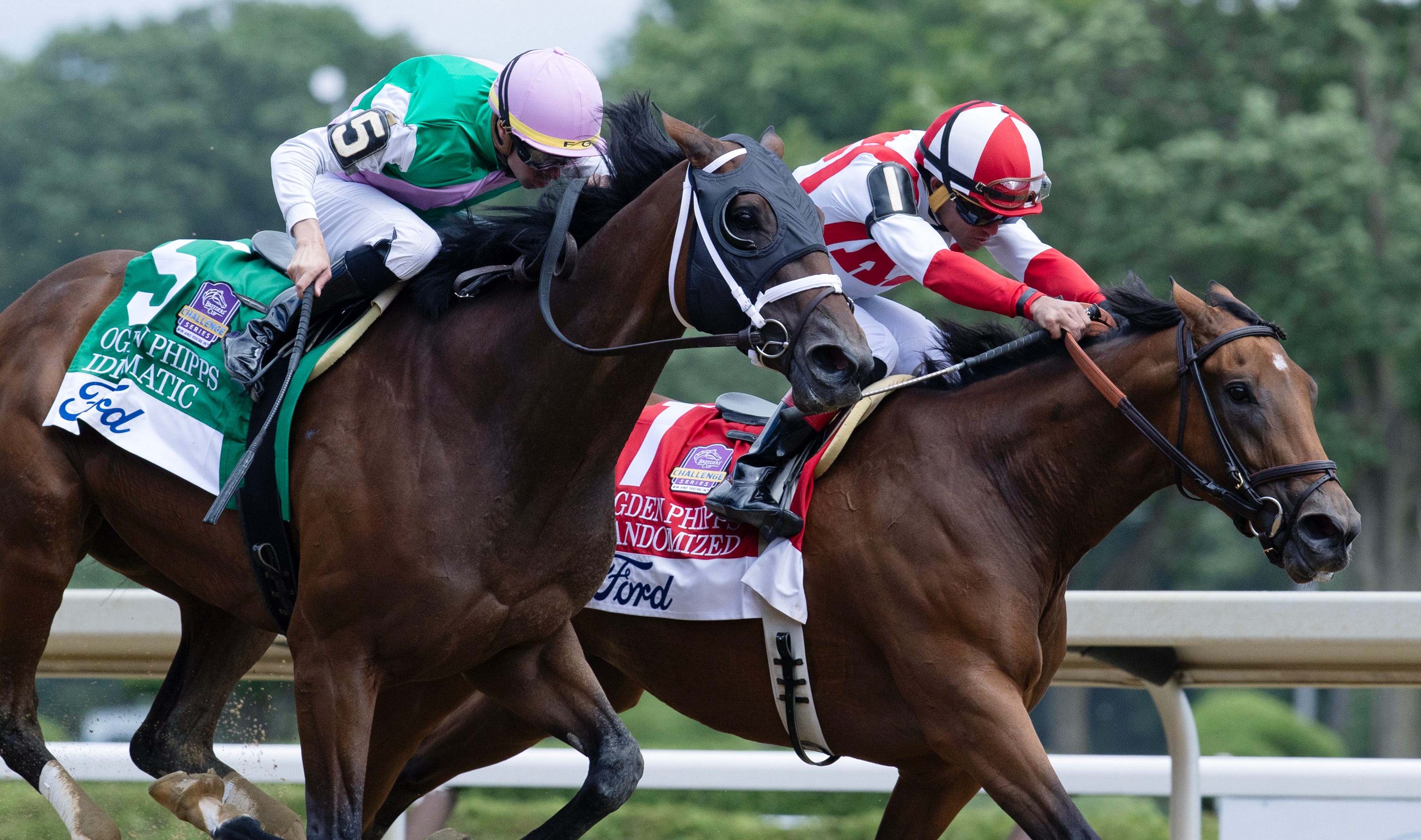 Despite last-out loss, Idiomatic towers over Molly Pitcher field