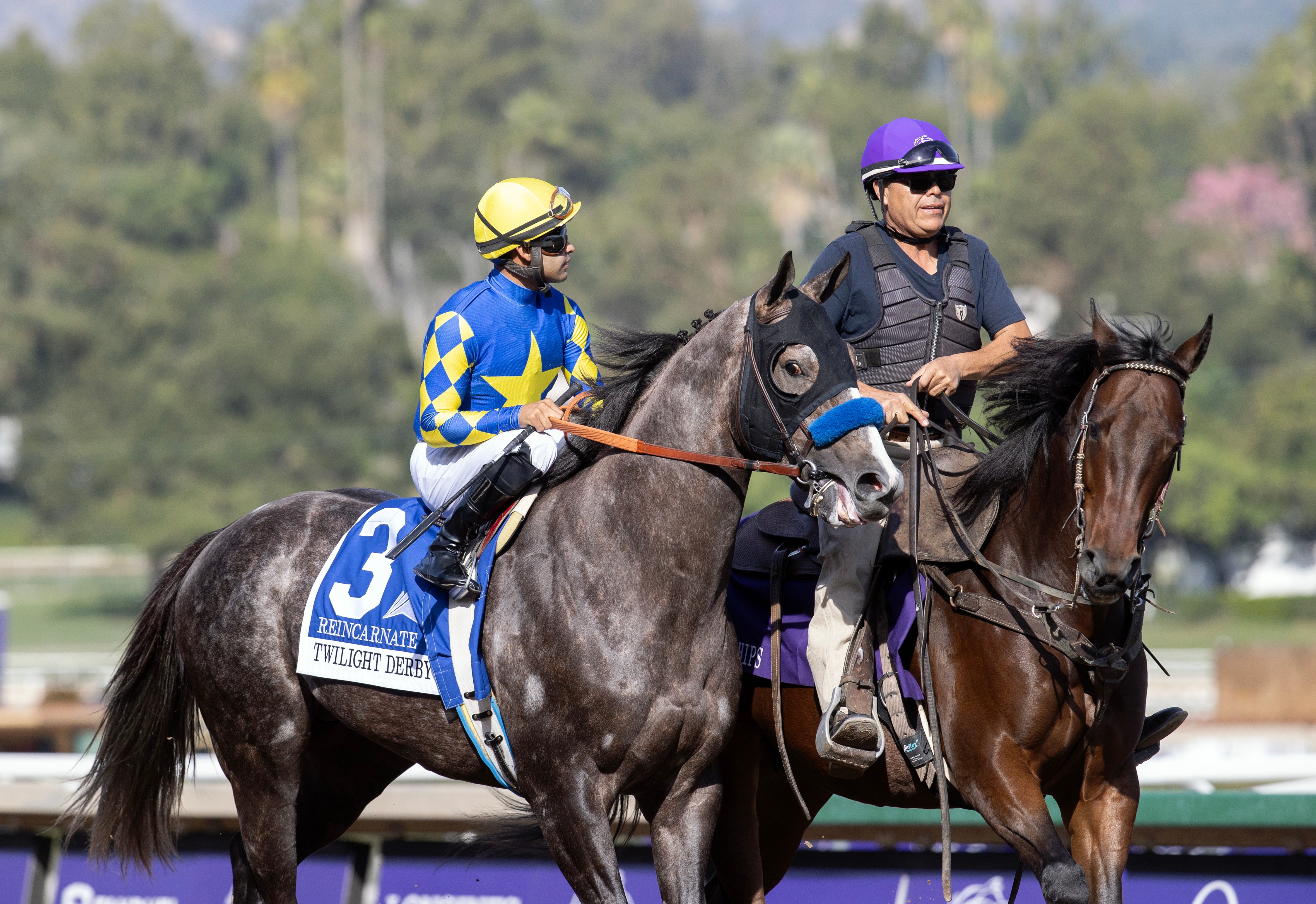 Reincarnate preps for Pacific Classic in Cougar II; $144,919 pick six ...