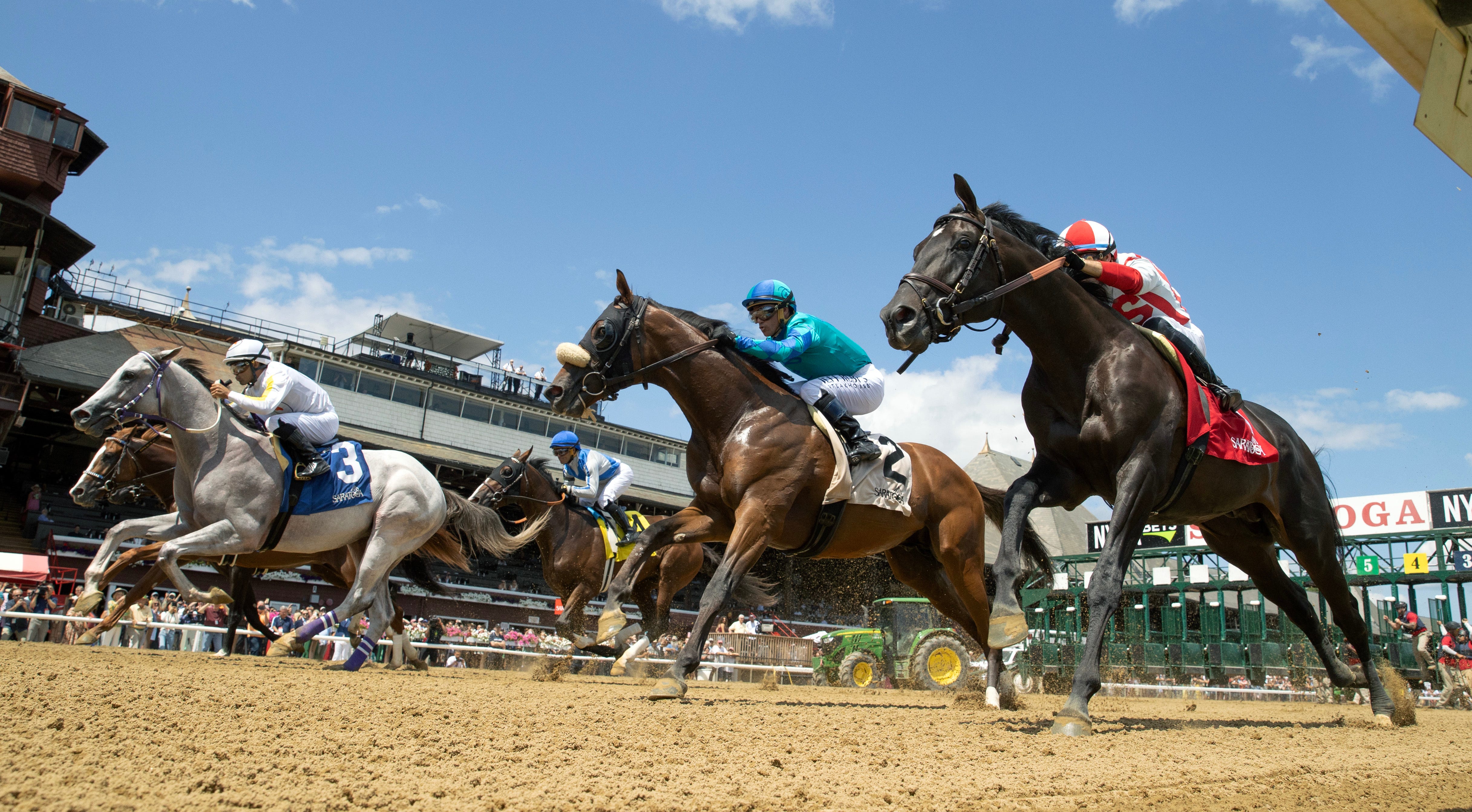 DRF Horse Racing Playbook: Saturday, July 12, 2025 Picks - NewsyList