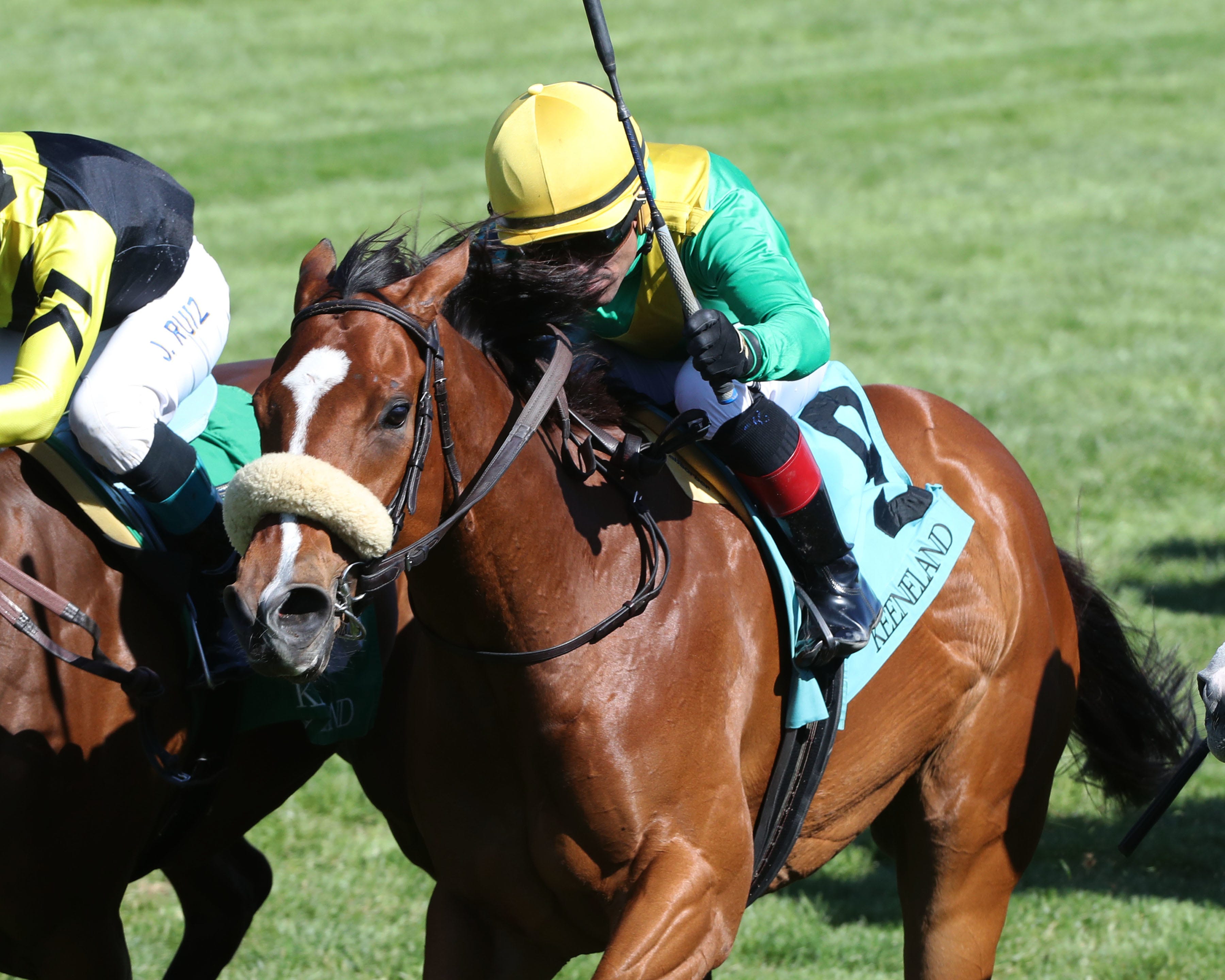 Style Points tries for first stakes win in Christiana